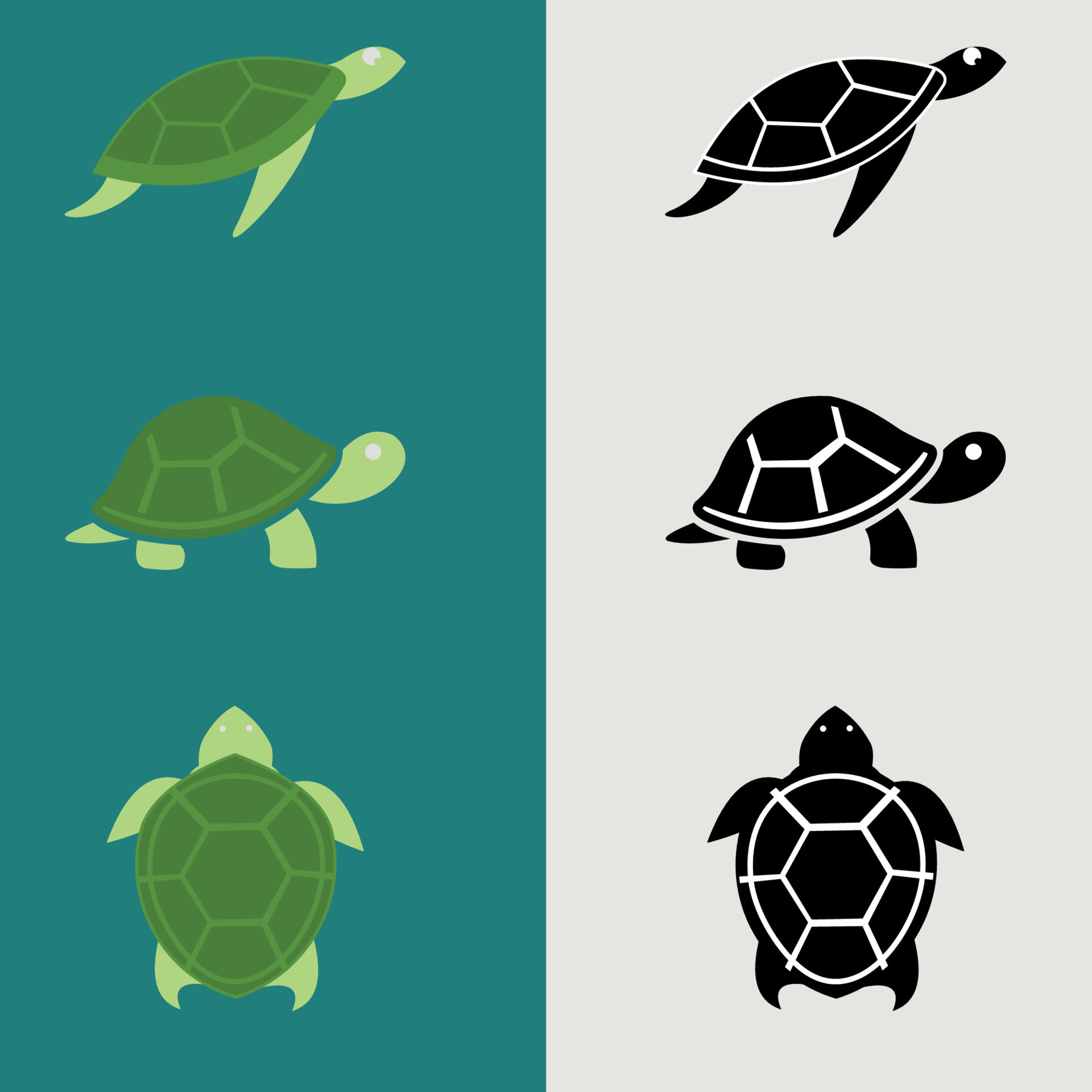 Turtle icon, Sea turtle vector illustration, Logo for buttons, websites ...