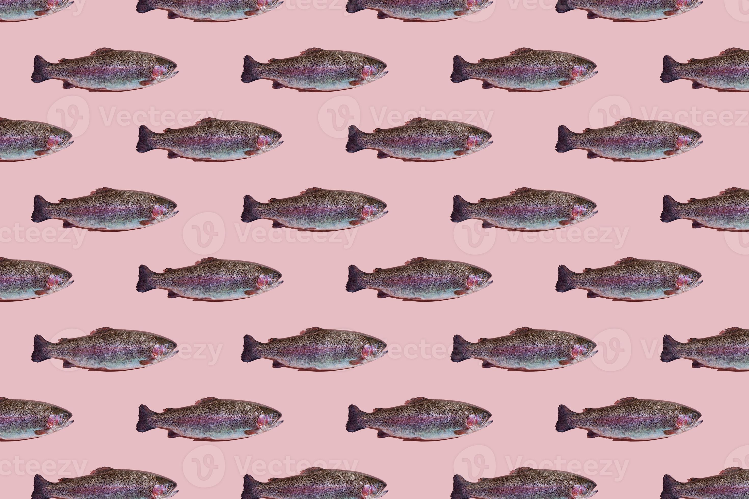 Seamless pattern of raw rainbow trout closeup isolated on pink ...