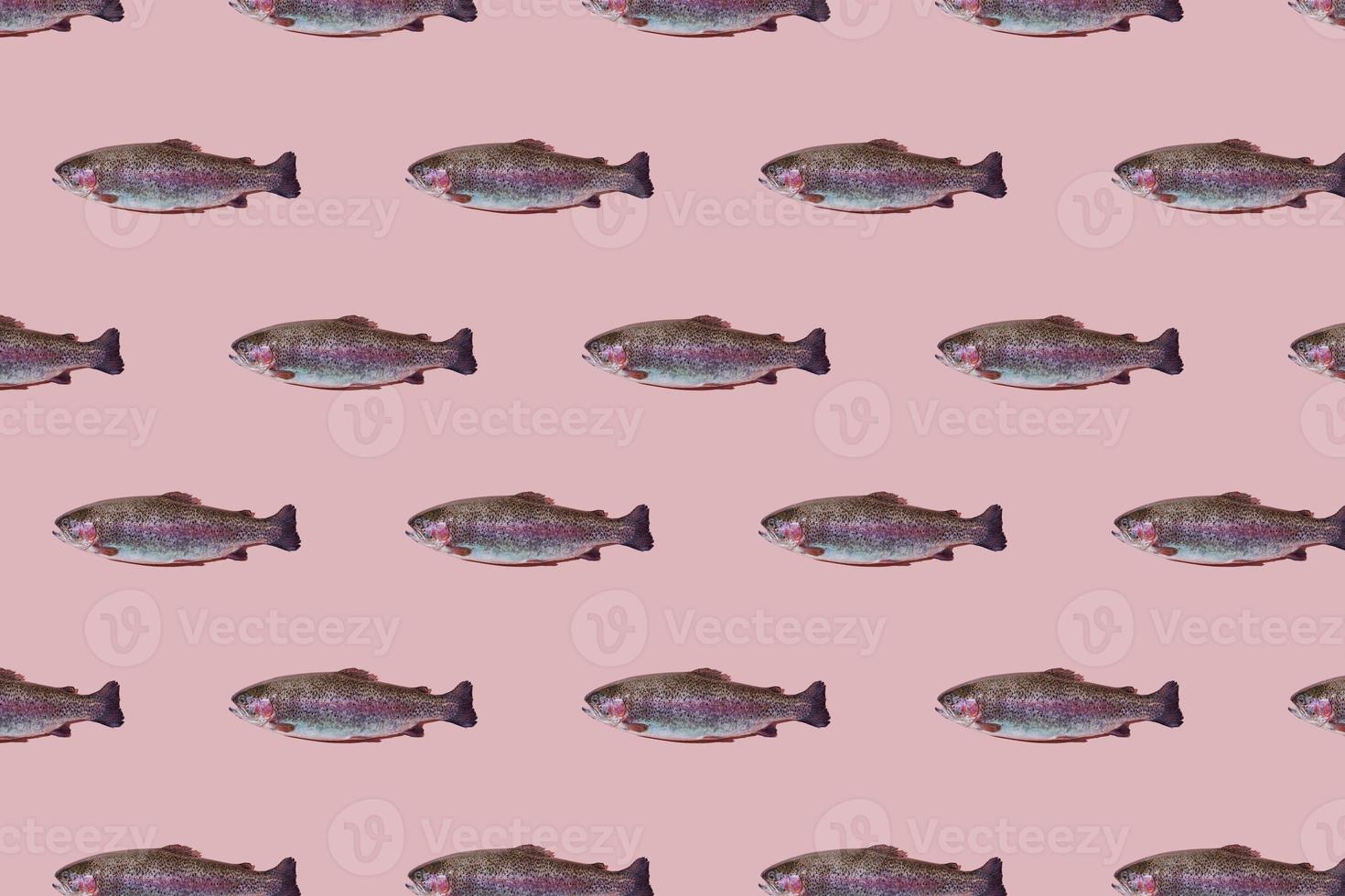 Seamless pattern of raw rainbow trout closeup isolated on pink ...