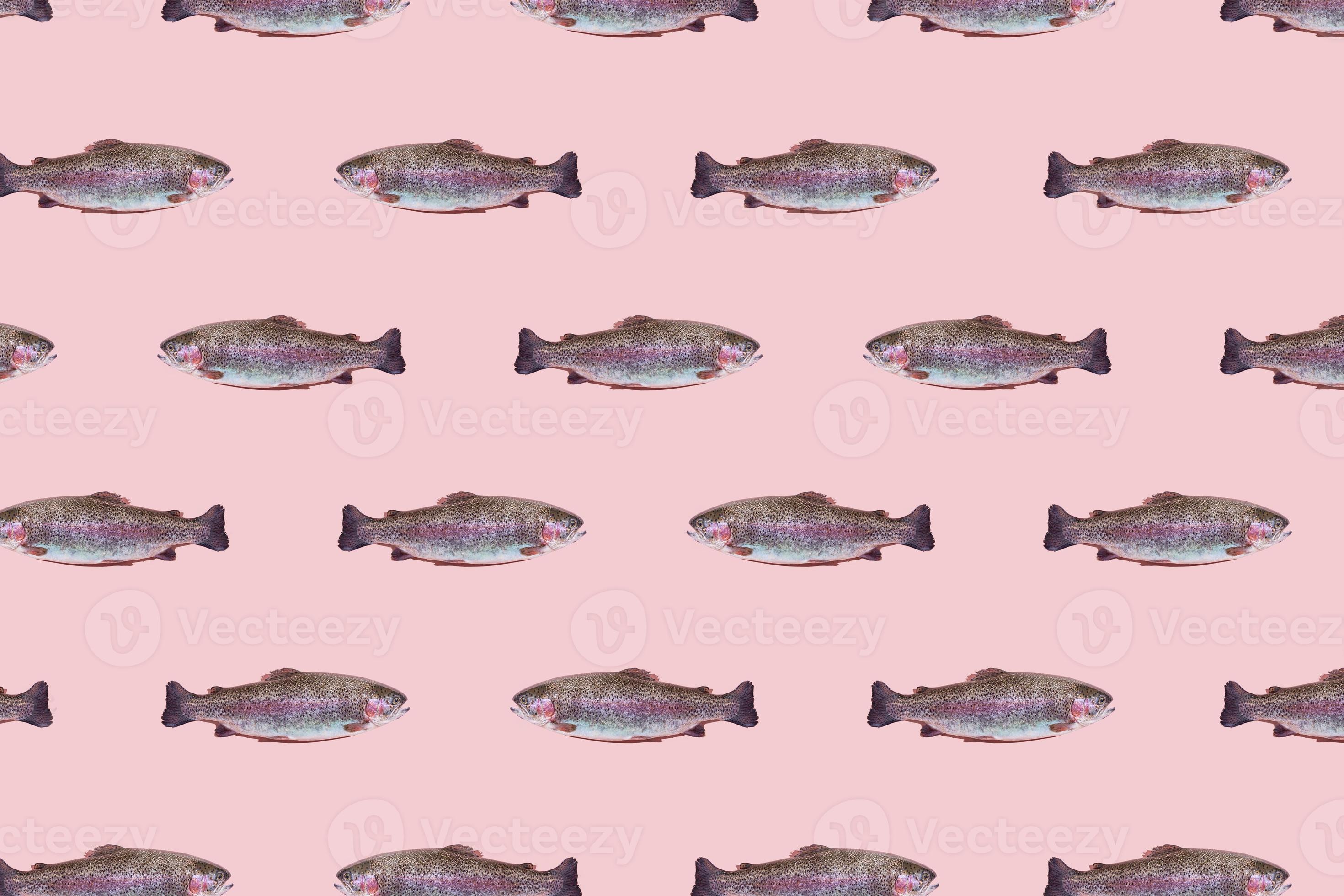 Seamless pattern of raw rainbow trout closeup isolated on pink ...