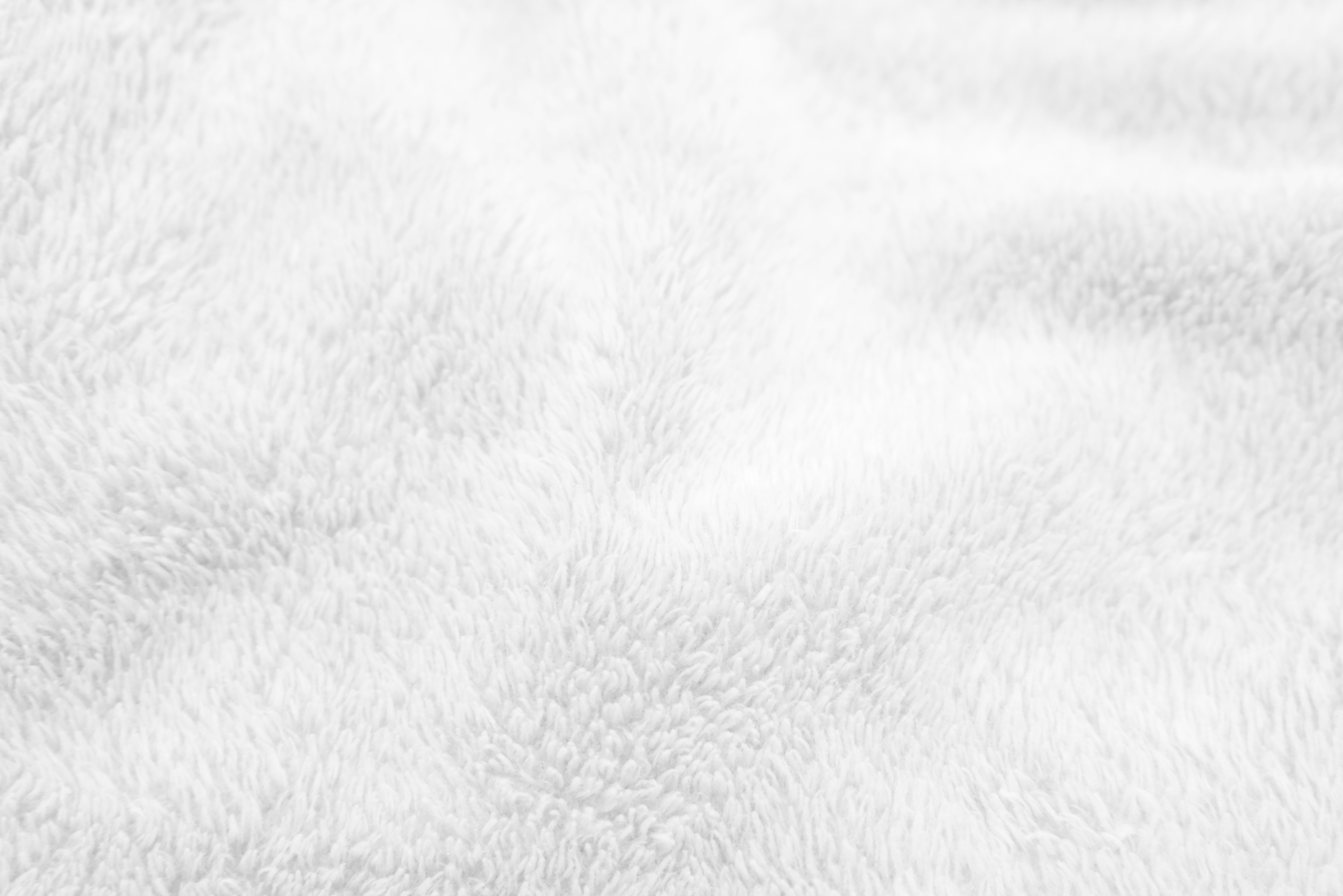 Fur Carpet Stock Photos, Images and Backgrounds for Free Download