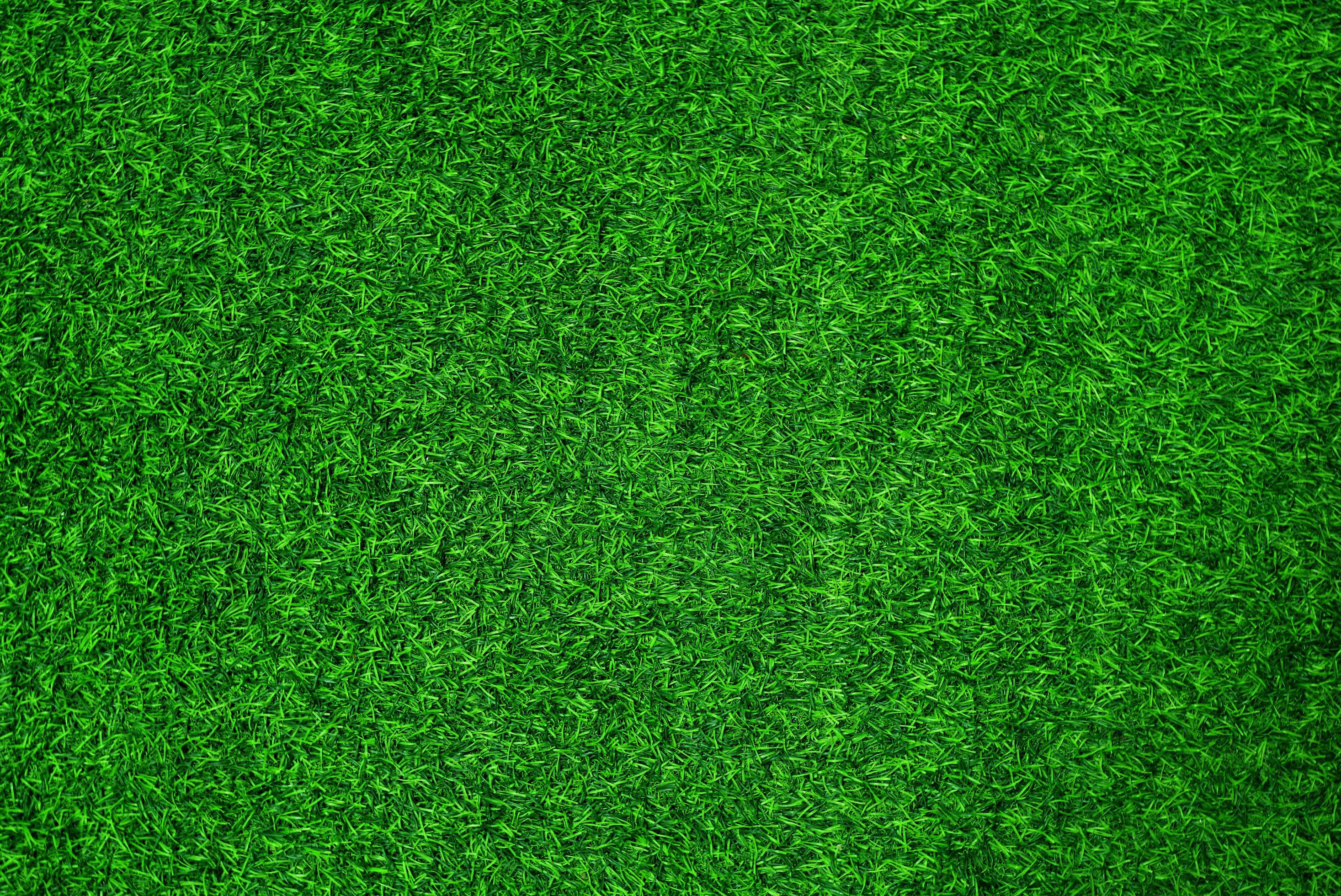 Green Grass Texture Background Grass Garden Concept Used For Making Green Background Football