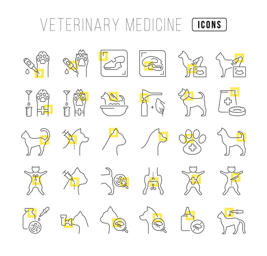 Set of linear icons of Veterinary Medicine 10561352 Vector Art at Vecteezy Set of linear icons of Veterinary Medicine 10561352 Vector Art at Vecteezy