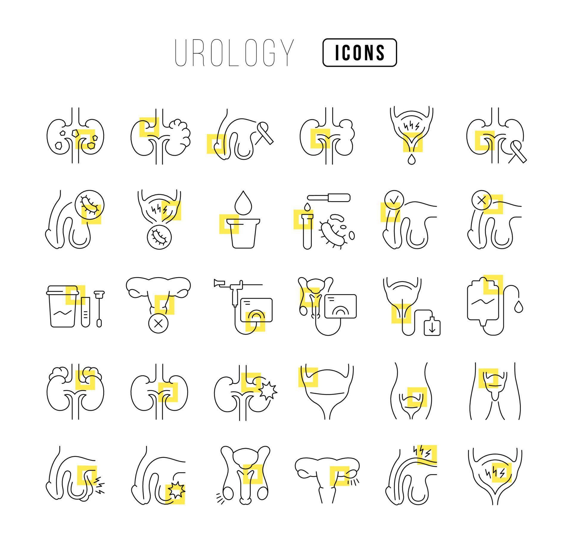 Set Of Linear Icons Of Urology 10561533 Vector Art At Vecteezy