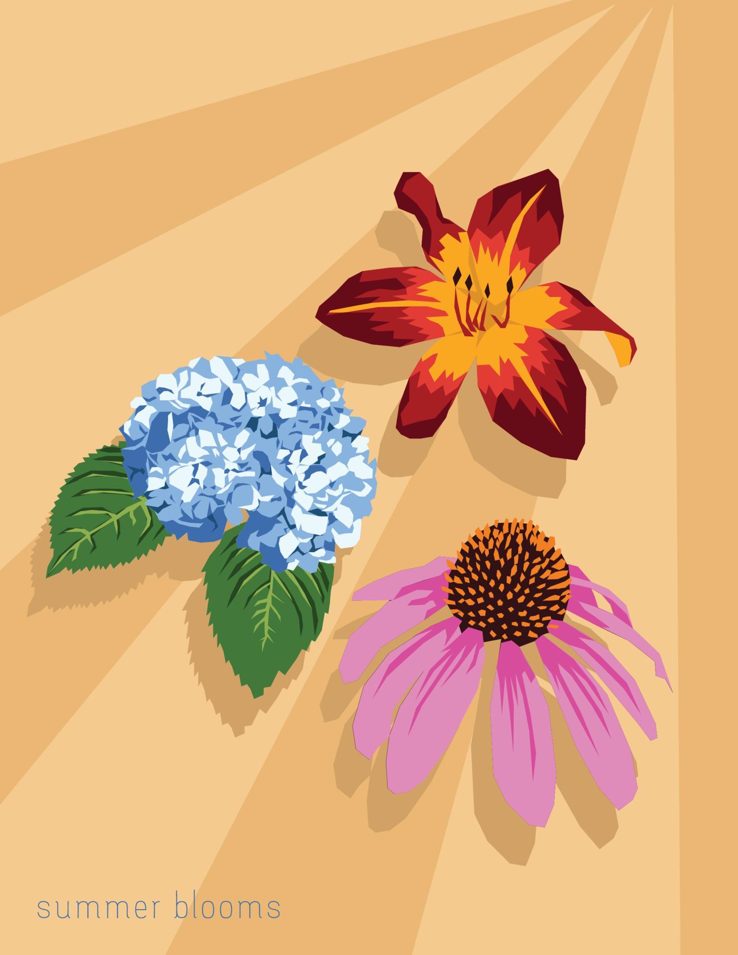 Summer Garden of Flowers in the Sun 10594960 Vector Art at Vecteezy