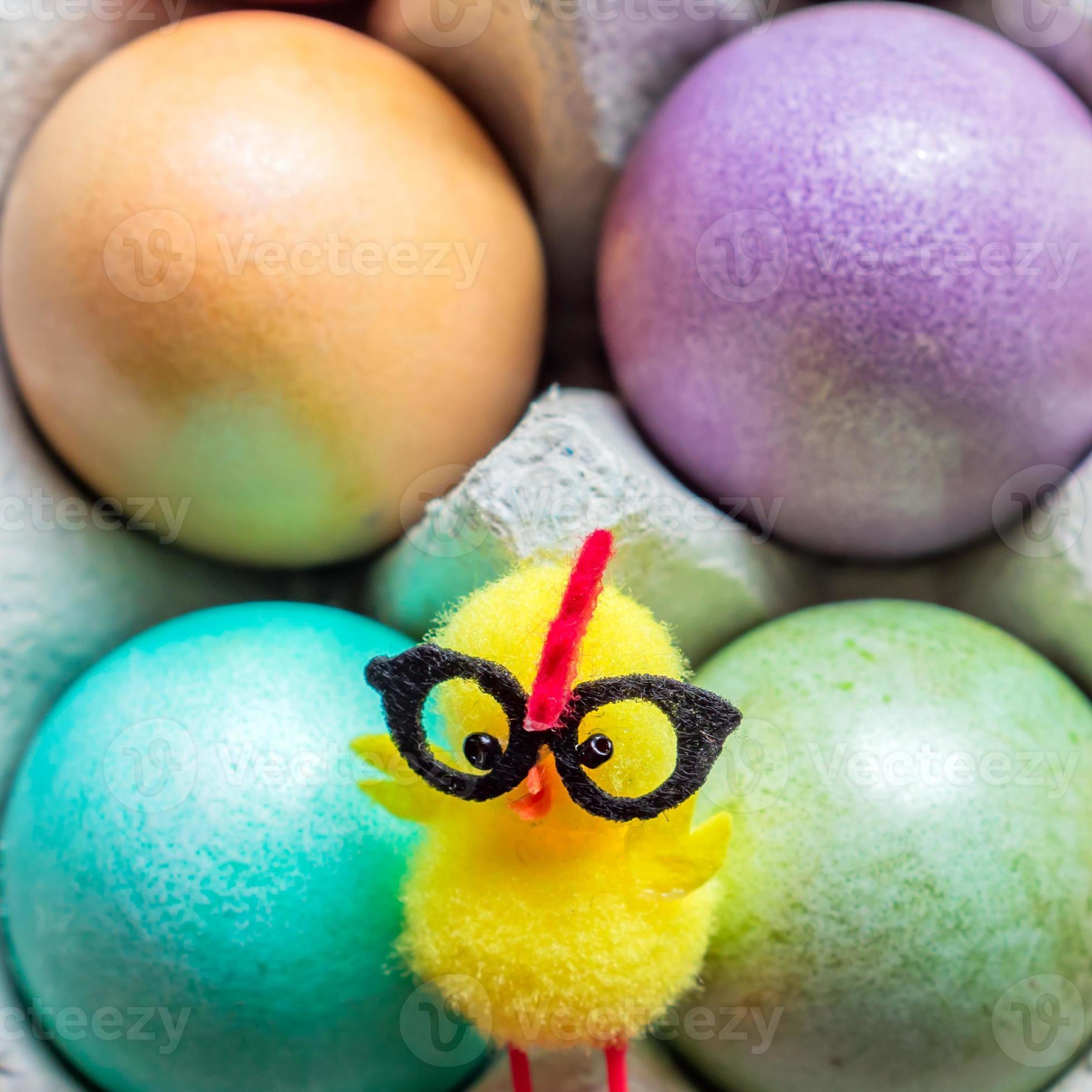 Multicolored easter eggs in a box with cute yellow chick. close up 10598591 Stock Photo at Vecteezy