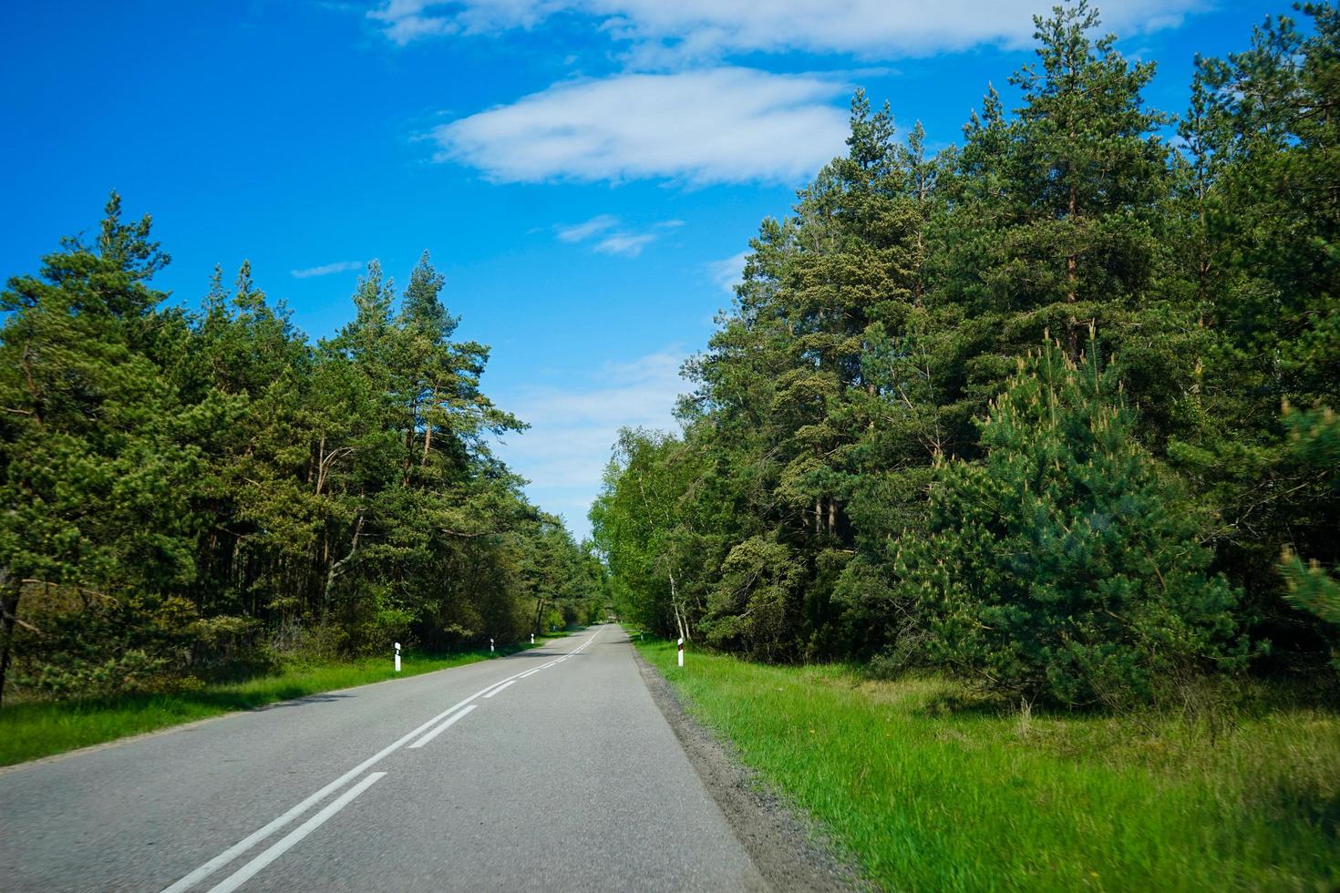 highway in the middle of green pine trees under a bright blue sky ...