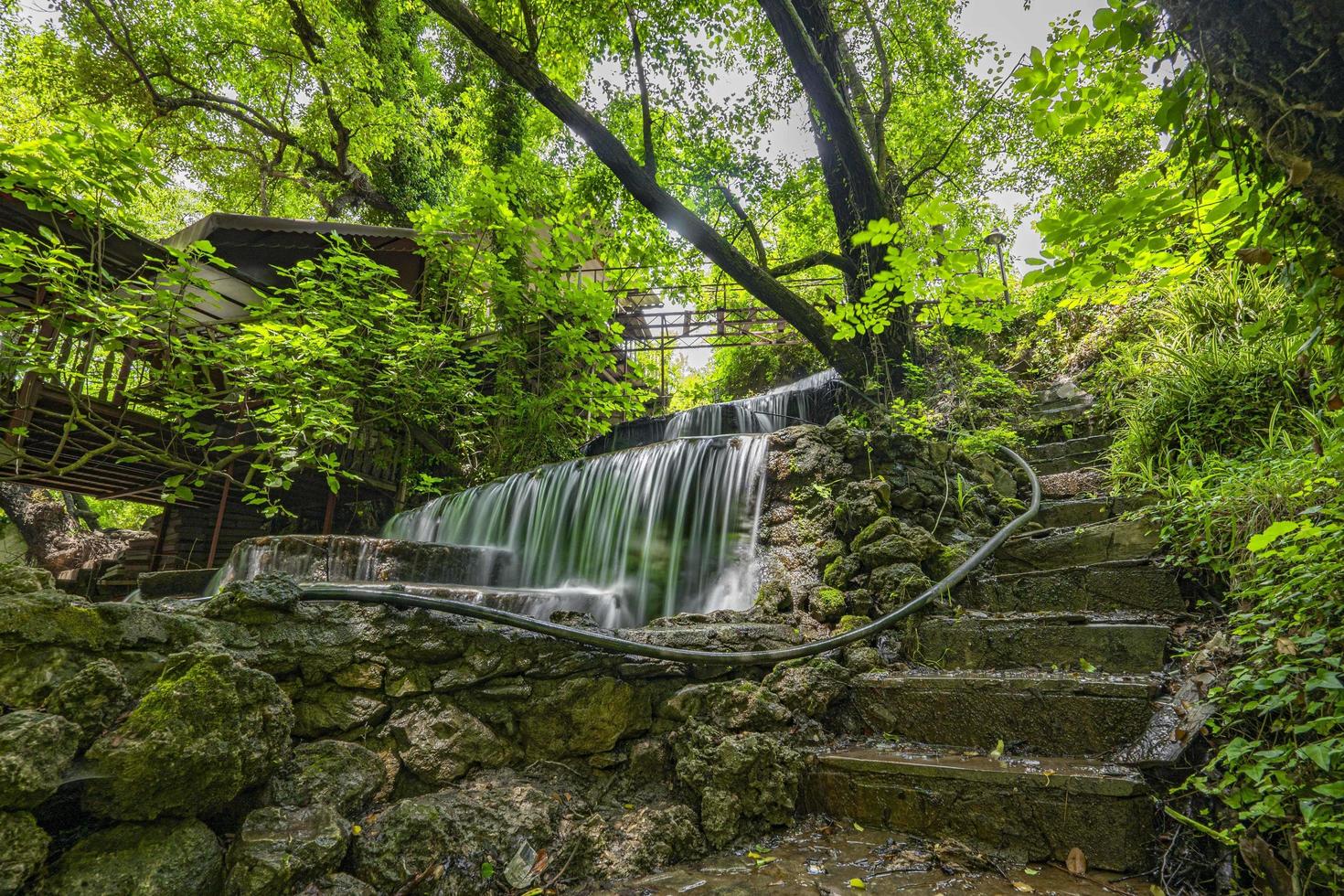Mountain river stream waterfall green forest Landscape nature plant ... Mountain river stream waterfall green forest Landscape nature plant ...