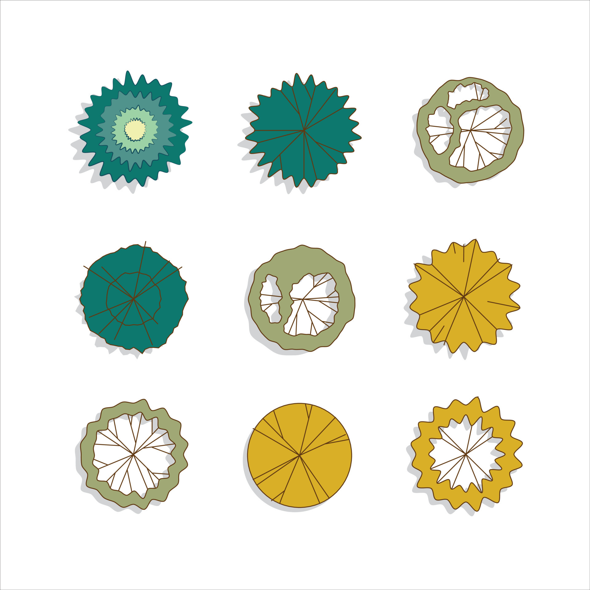 Vector Tree Set Tree Plan Hand Drawn Sketch On White Background Trees For Landscape Plan