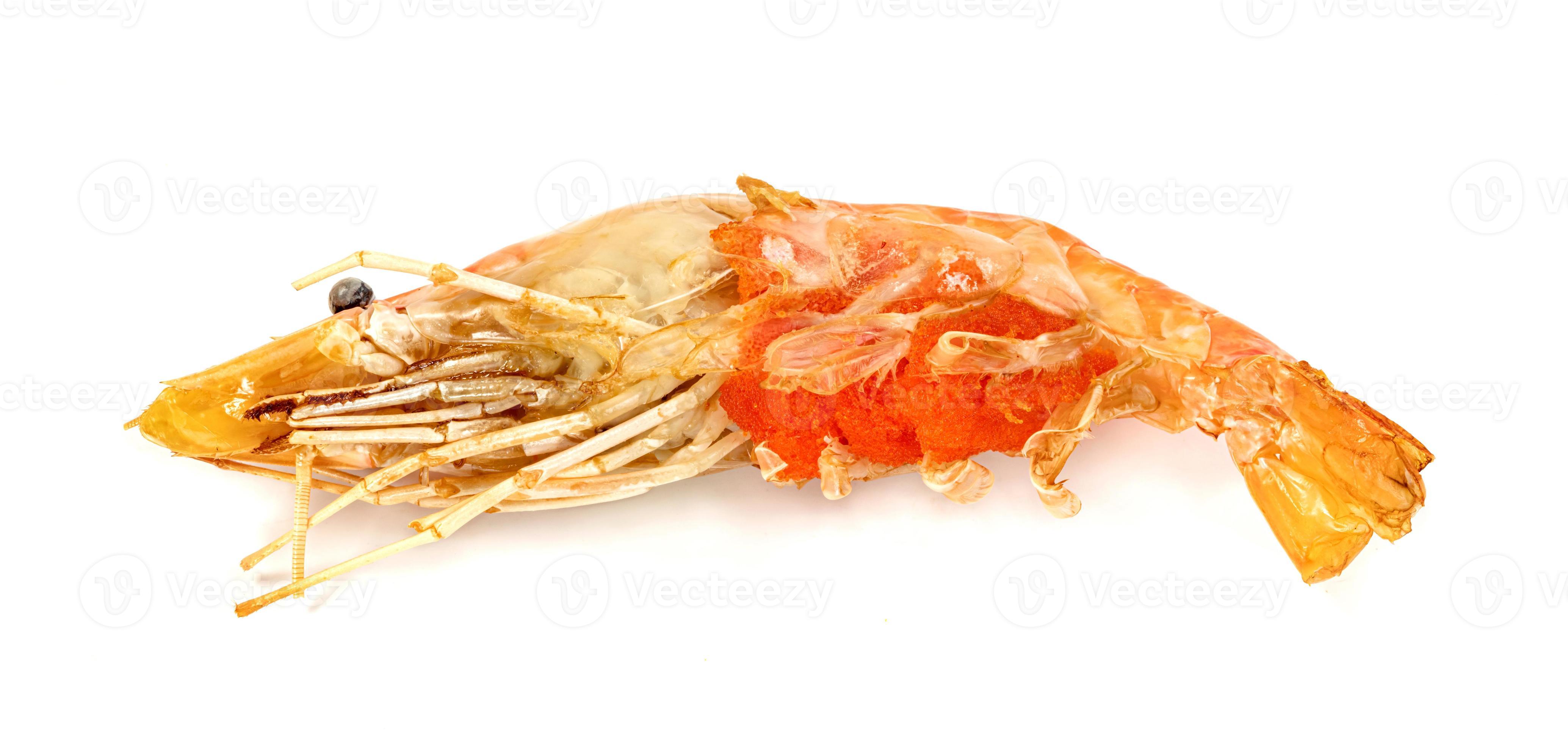 Camarón de río asado común y huevas de camarón aislado sobre fondo blanco, gambas a la parrilla ...