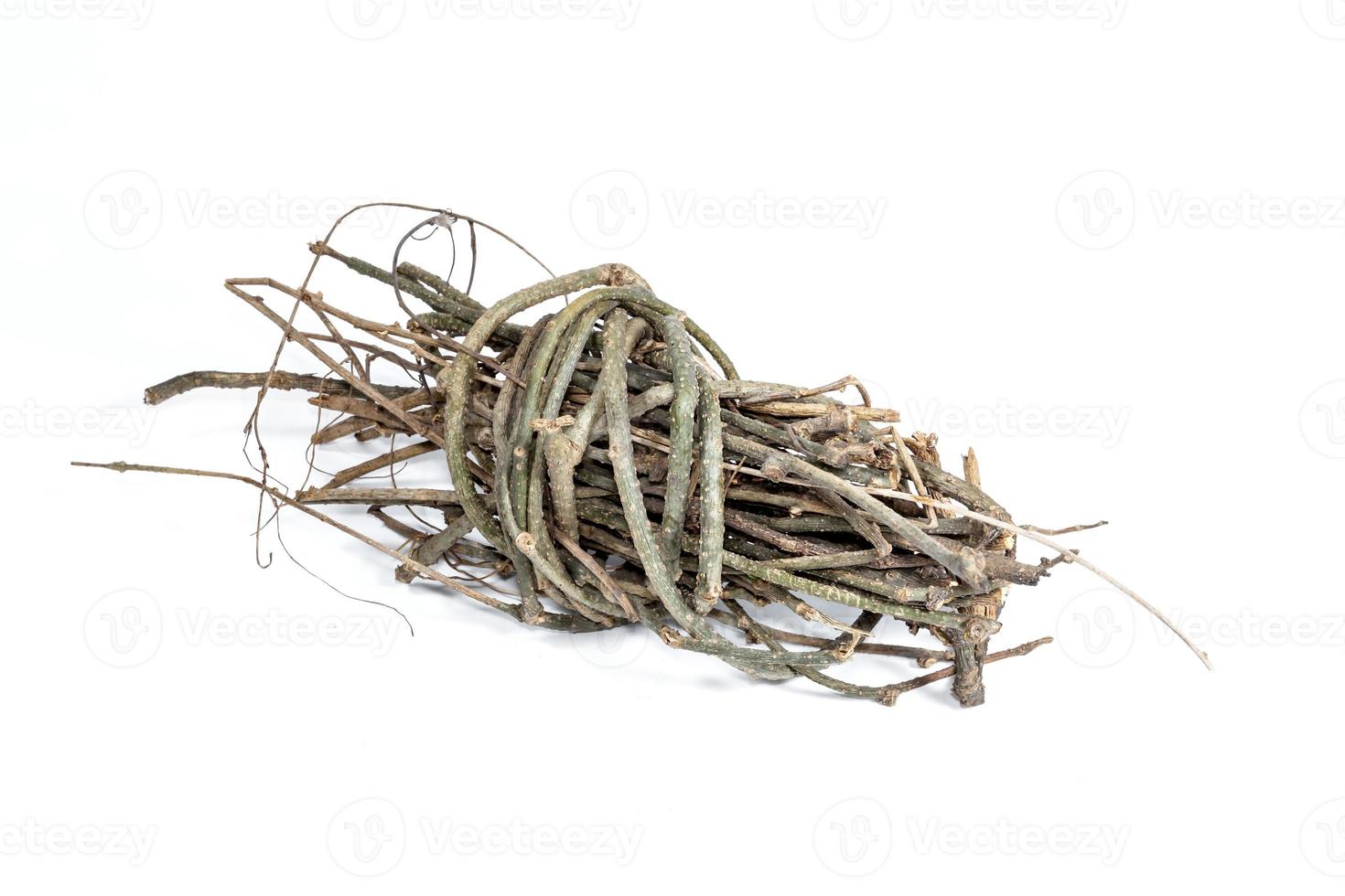vine tree branches isolated on white background. 10735637 Stock Photo ... vine tree branches isolated on white background. 10735637 Stock Photo ...