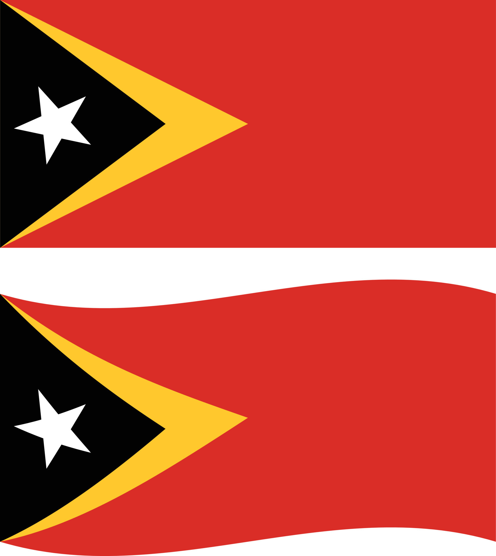 Flag Of East Timor On White Background Timor Leste Flag Timor Leste
