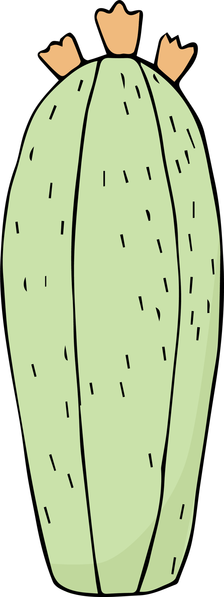 Garabato De Dibujos Animados De Cactus 10791653 Png