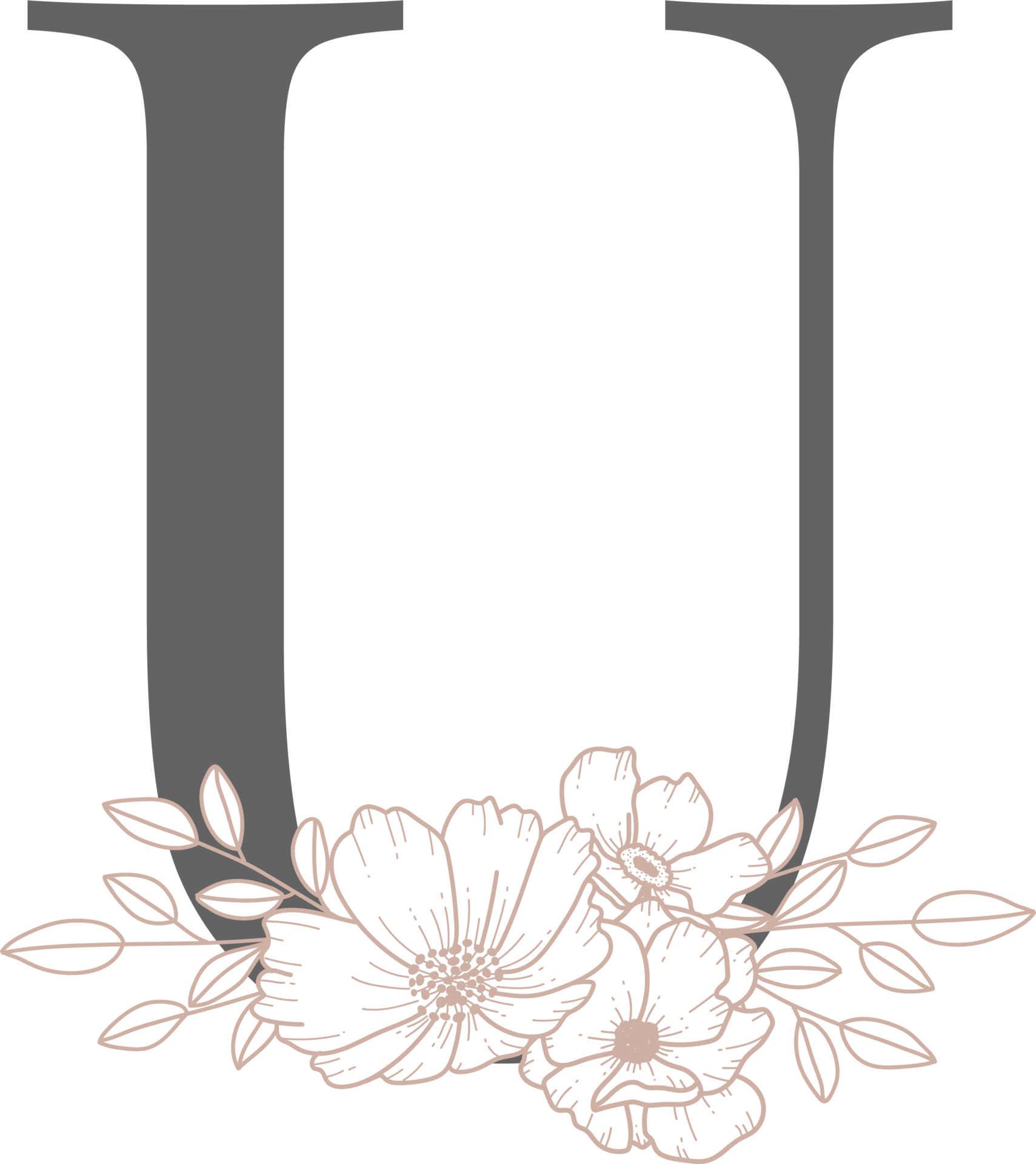 Alphabet with flower line art 10791924 PNG