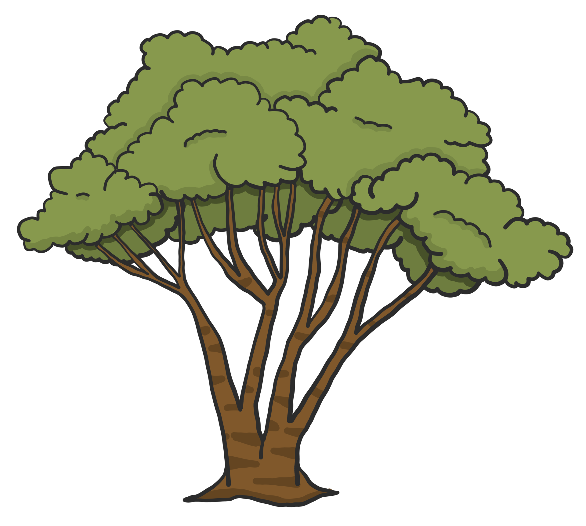 Tree Painting Hand Drawn Style 10794151 PNG tree-painting-hand-drawn-style-10794151-png