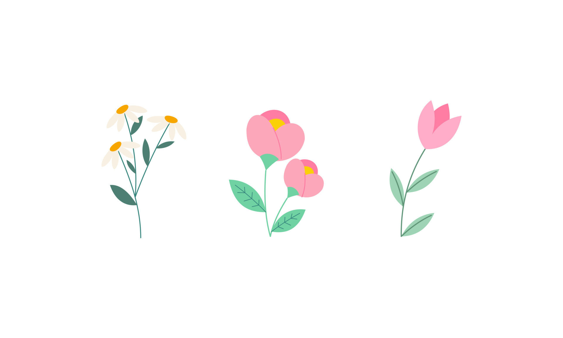 Set of Spring Flowers Collection 10796450 Vector Art at Vecteezy