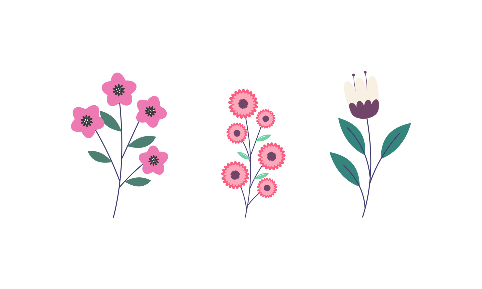 Set of Spring Flowers Collection 10796454 Vector Art at Vecteezy