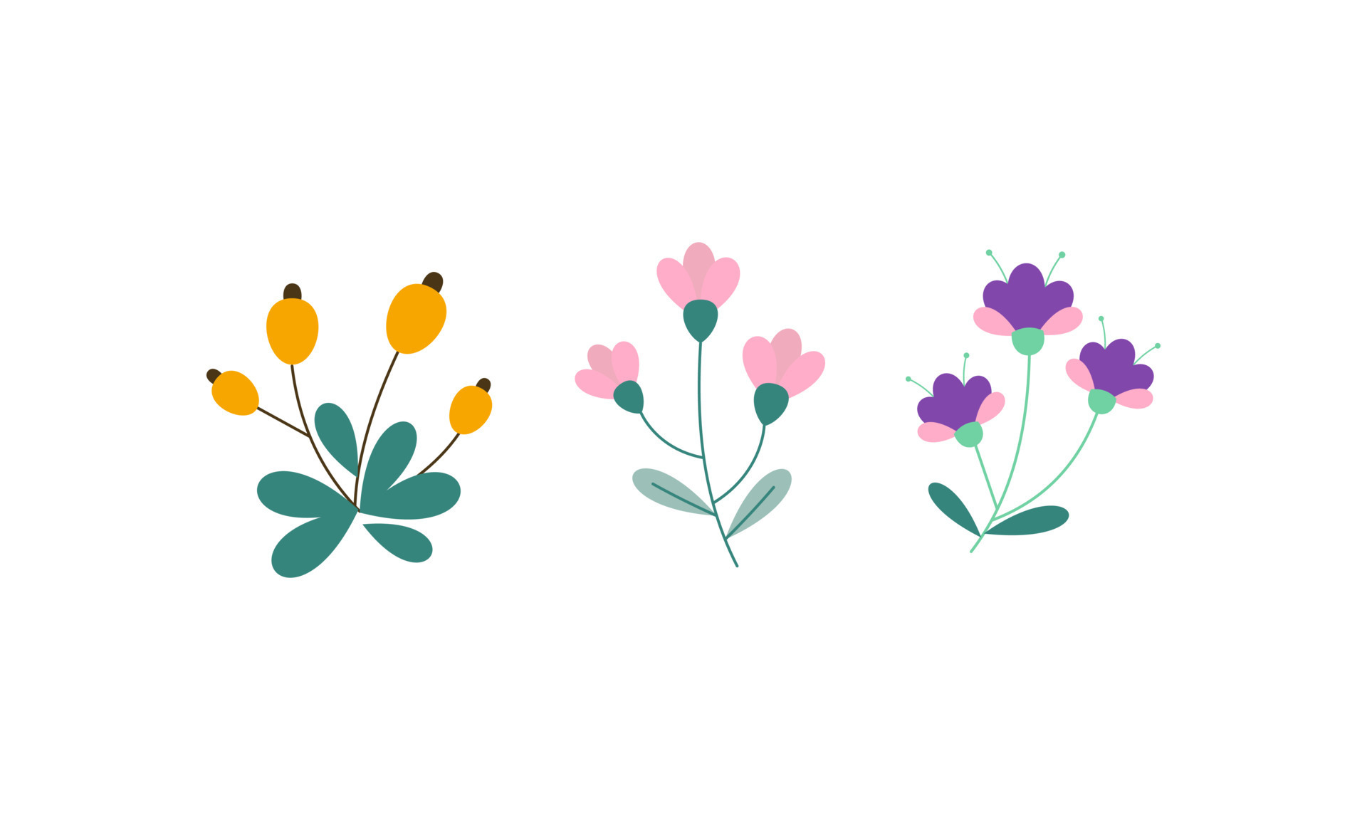 Set of Spring Flowers Collection 10796479 Vector Art at Vecteezy