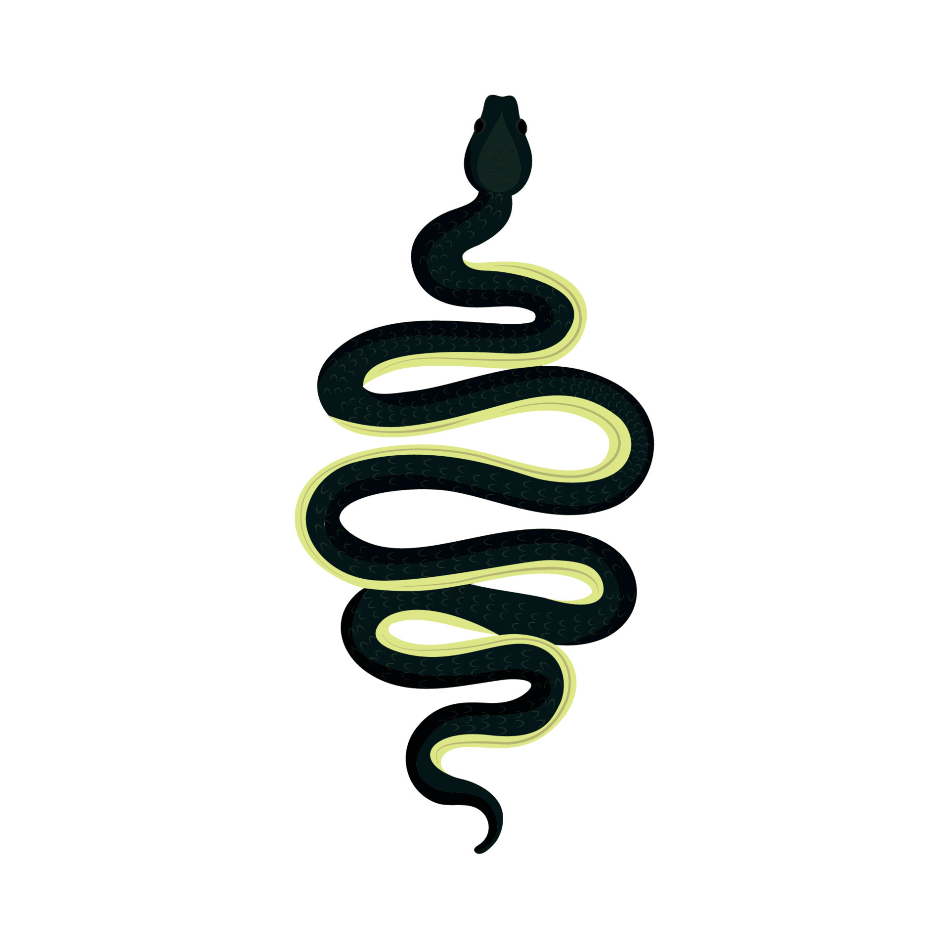 snake vector icon 10817857 Vector Art at Vecteezy