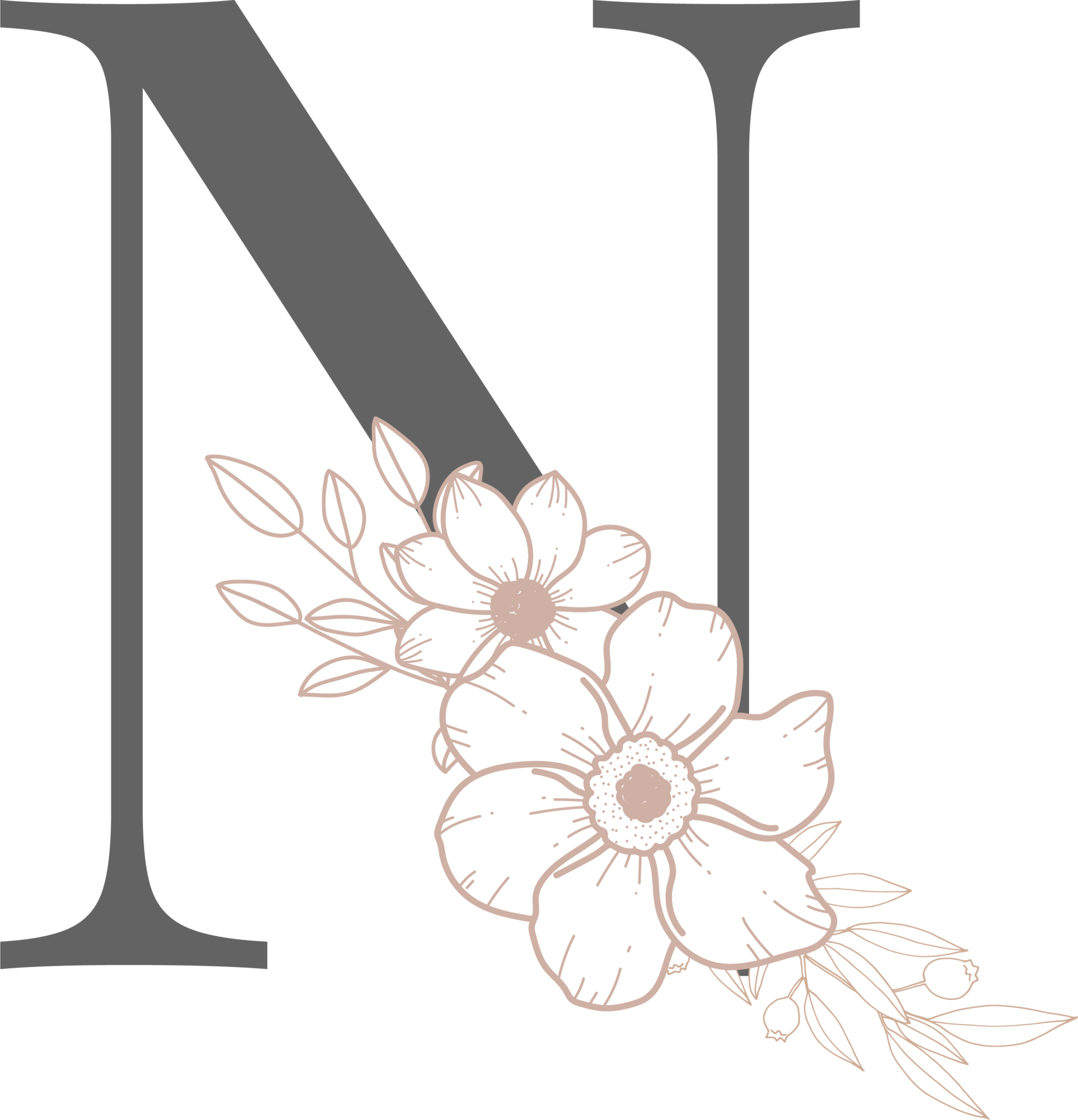 Alphabet with flower line art 10826592 PNG