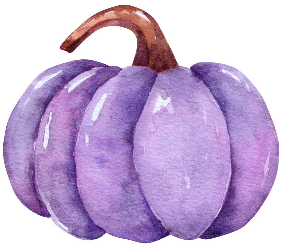 Autumn Pumpkin Watercolor 10826897 PNG