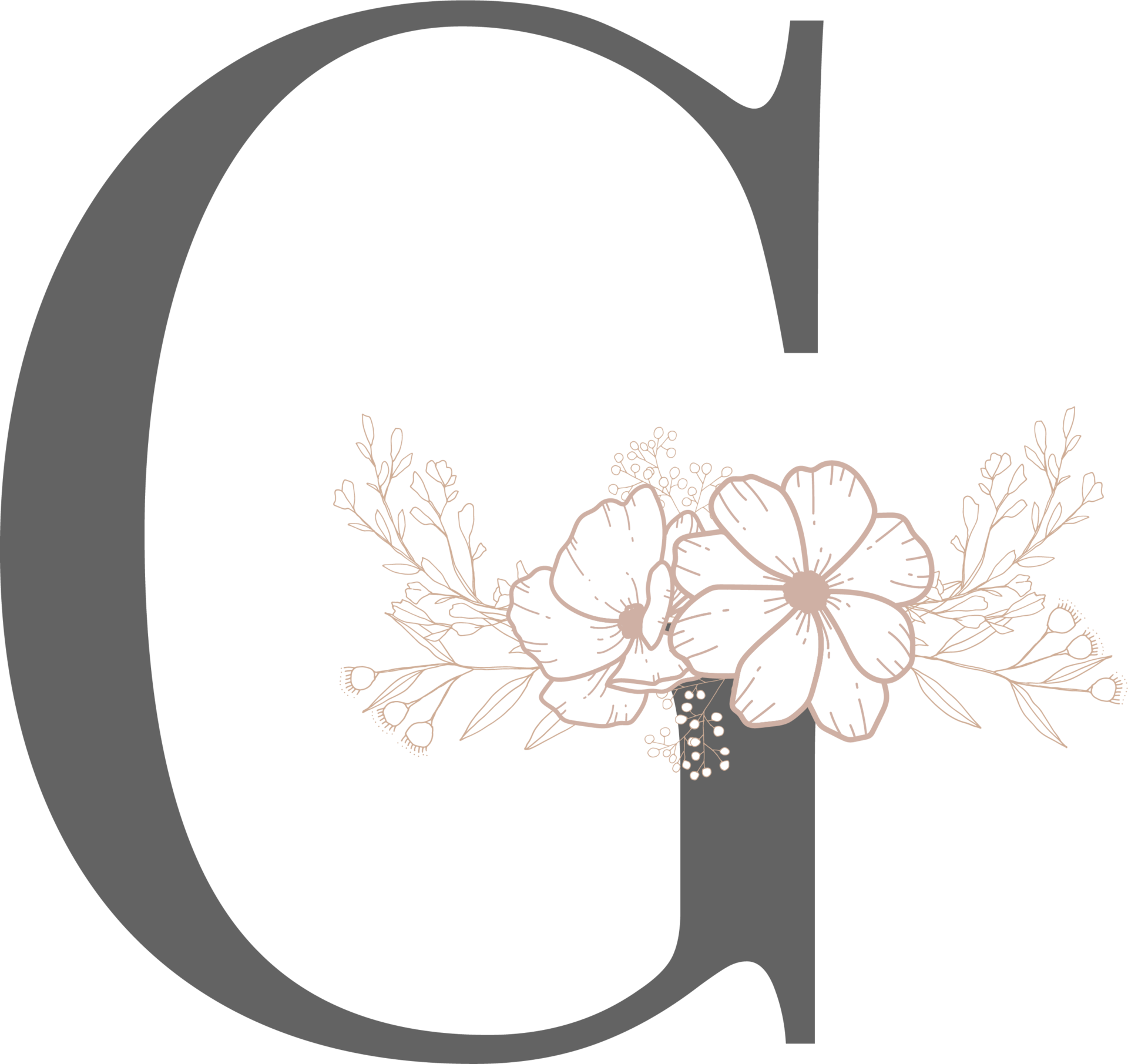 Alphabet with flower line art 10829396 PNG