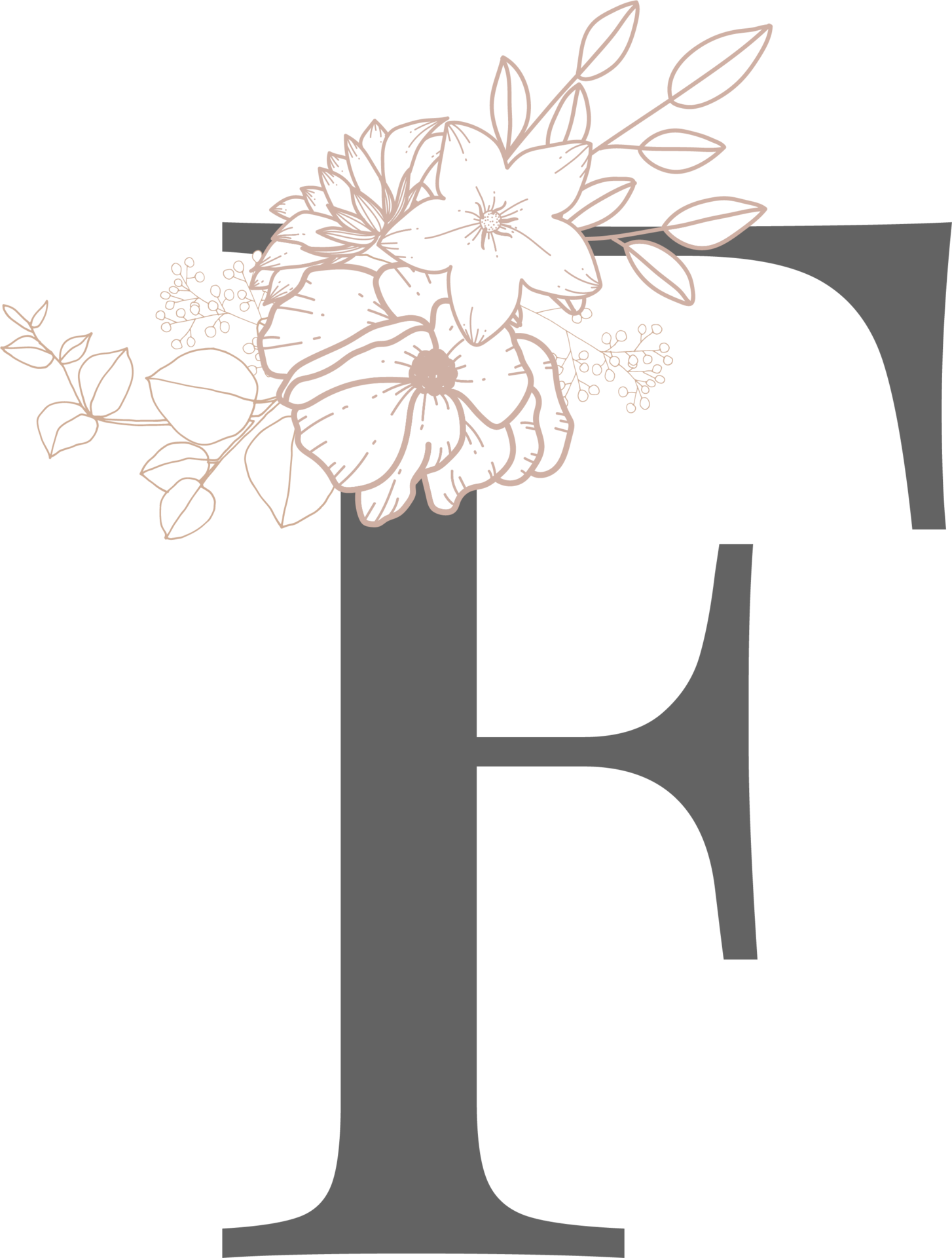 Alphabet with flower line art 10829424 PNG