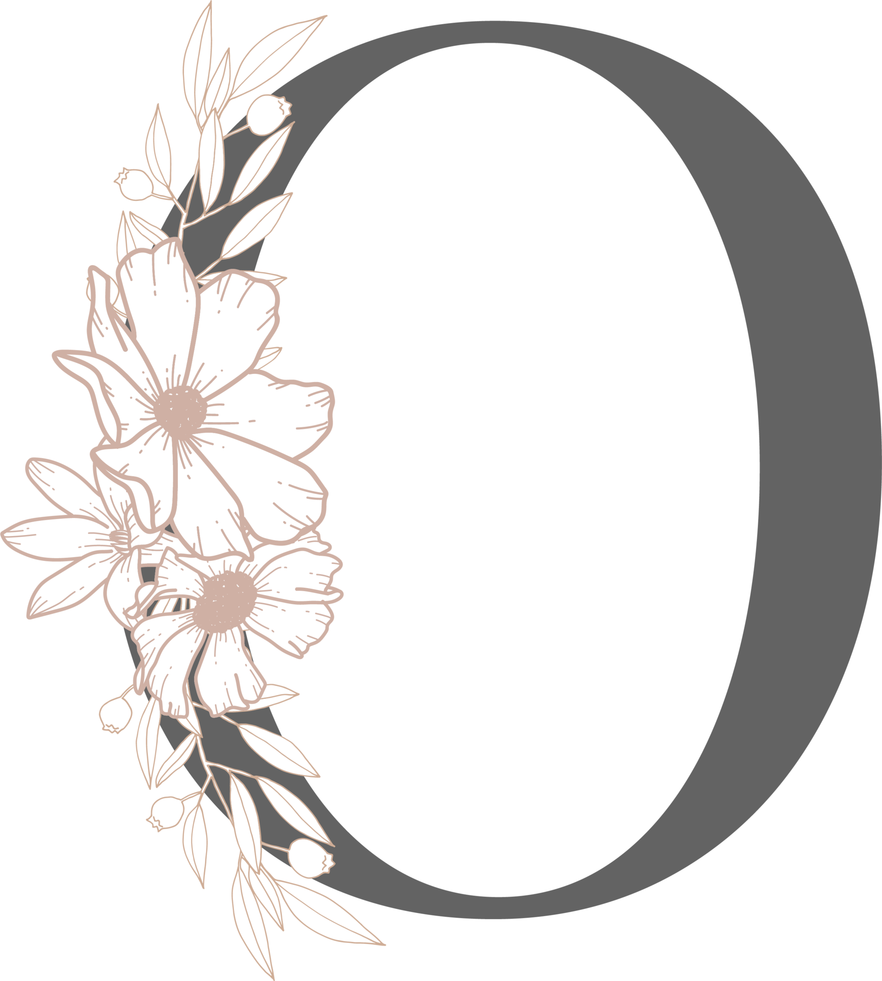 Alphabet with flower line art 10829470 PNG