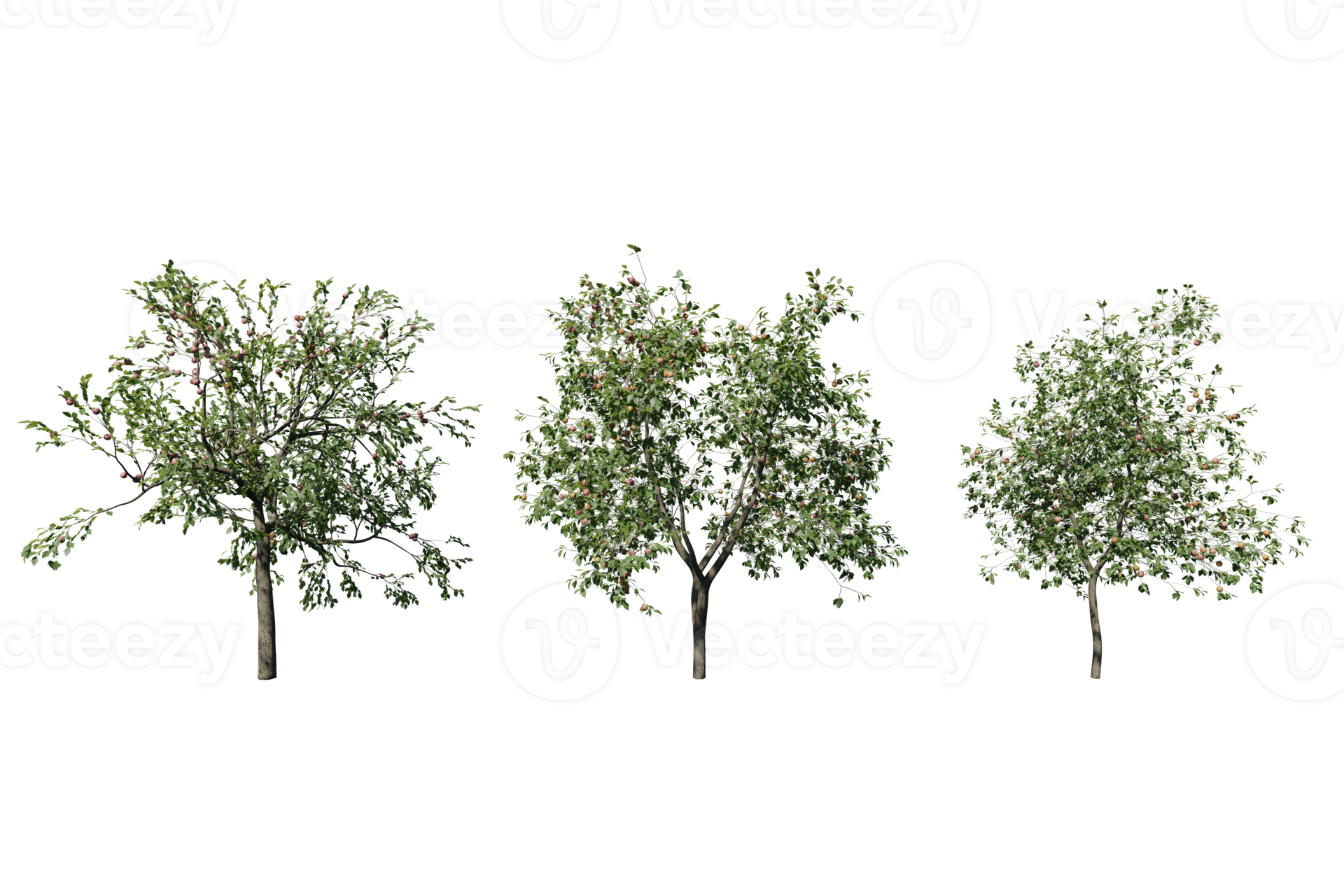 Set of Apple tree transparent background 10832710 PNG