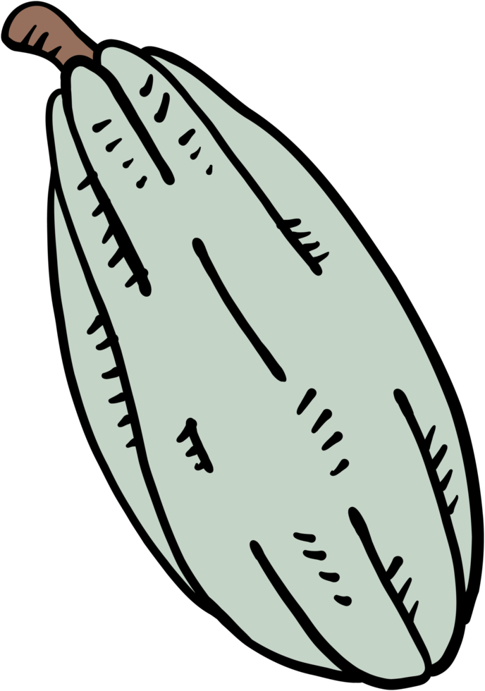 Doodle Dibujo A Mano Alzada De Fruta De Cacao 10833409 Png