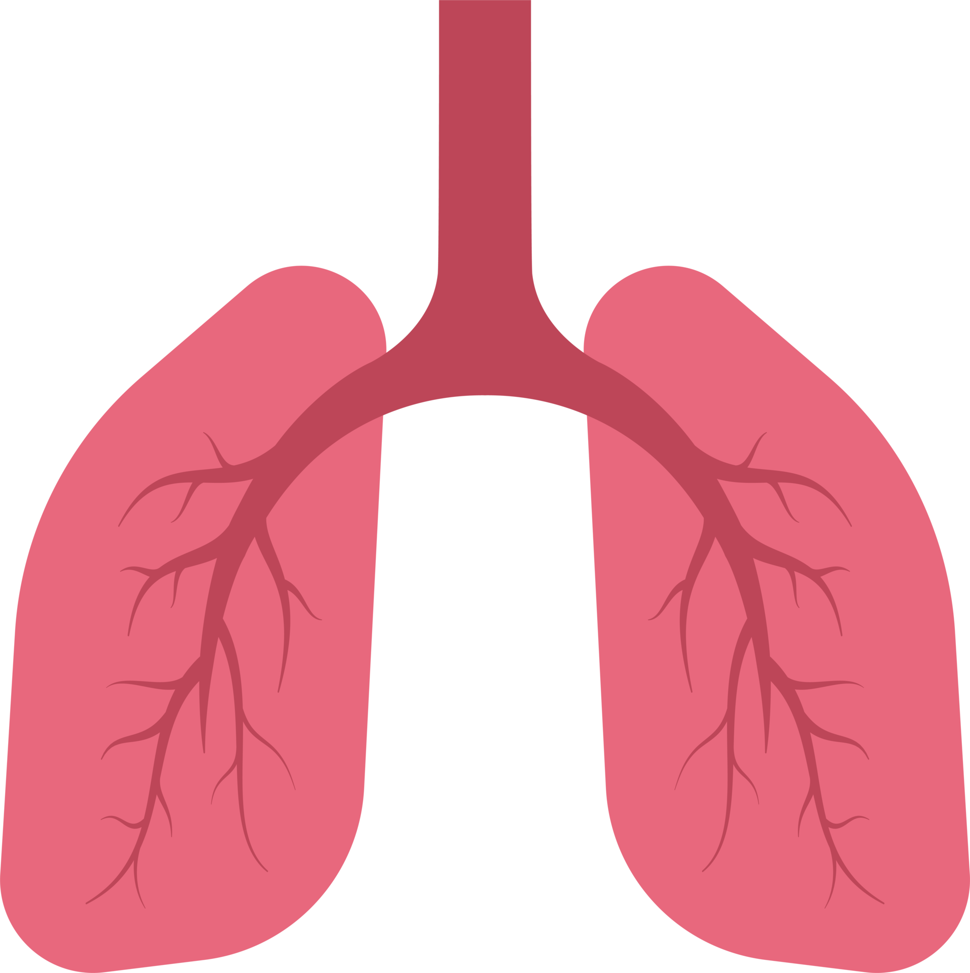 Lung sign flat icon 10837205 PNG Lung sign flat icon 10837205 PNG