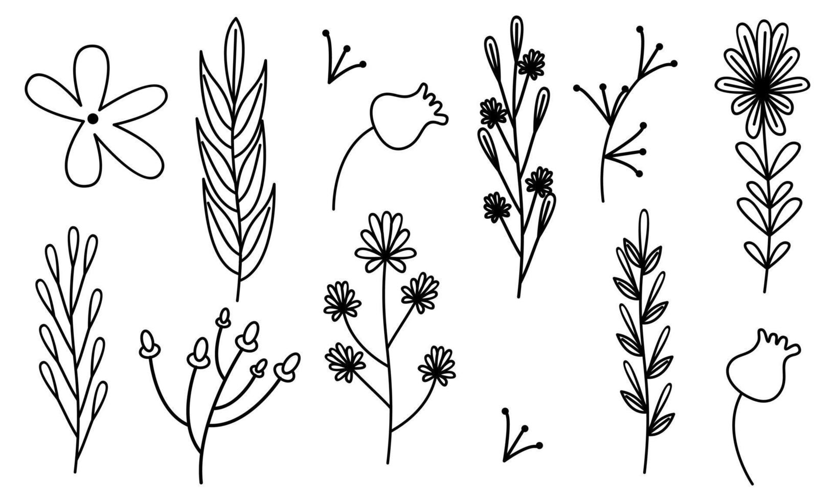 Hand Drawn Flower And Branches Doodle Vector 10848013 Vector Art At