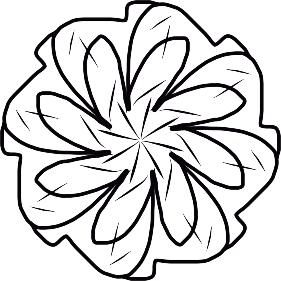 Black And White Flower 10862333 PNG black-and-white-flower-10862333-png