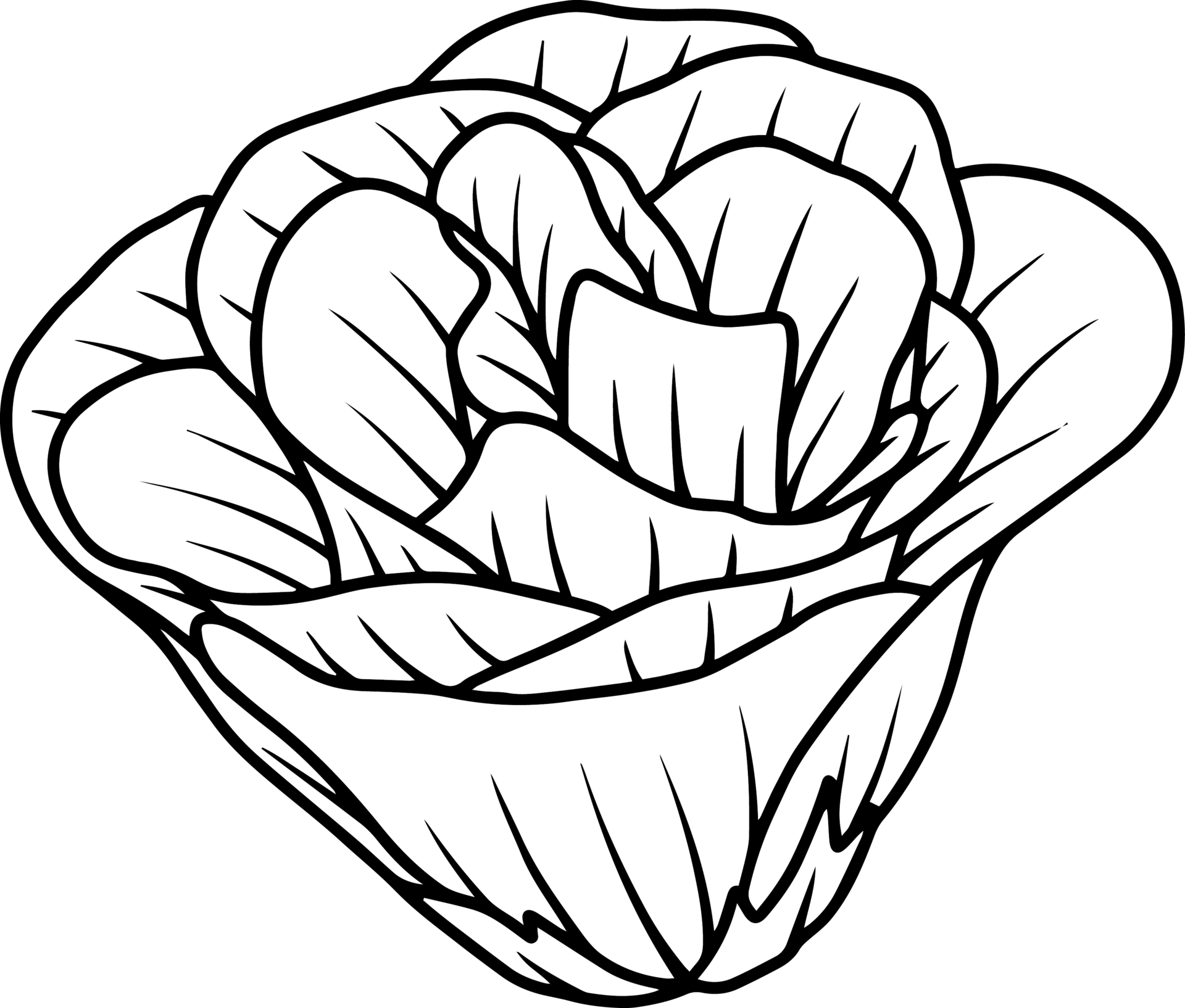 Flower Hand Drawn Sketch Line Art Illustration 10863673 Png