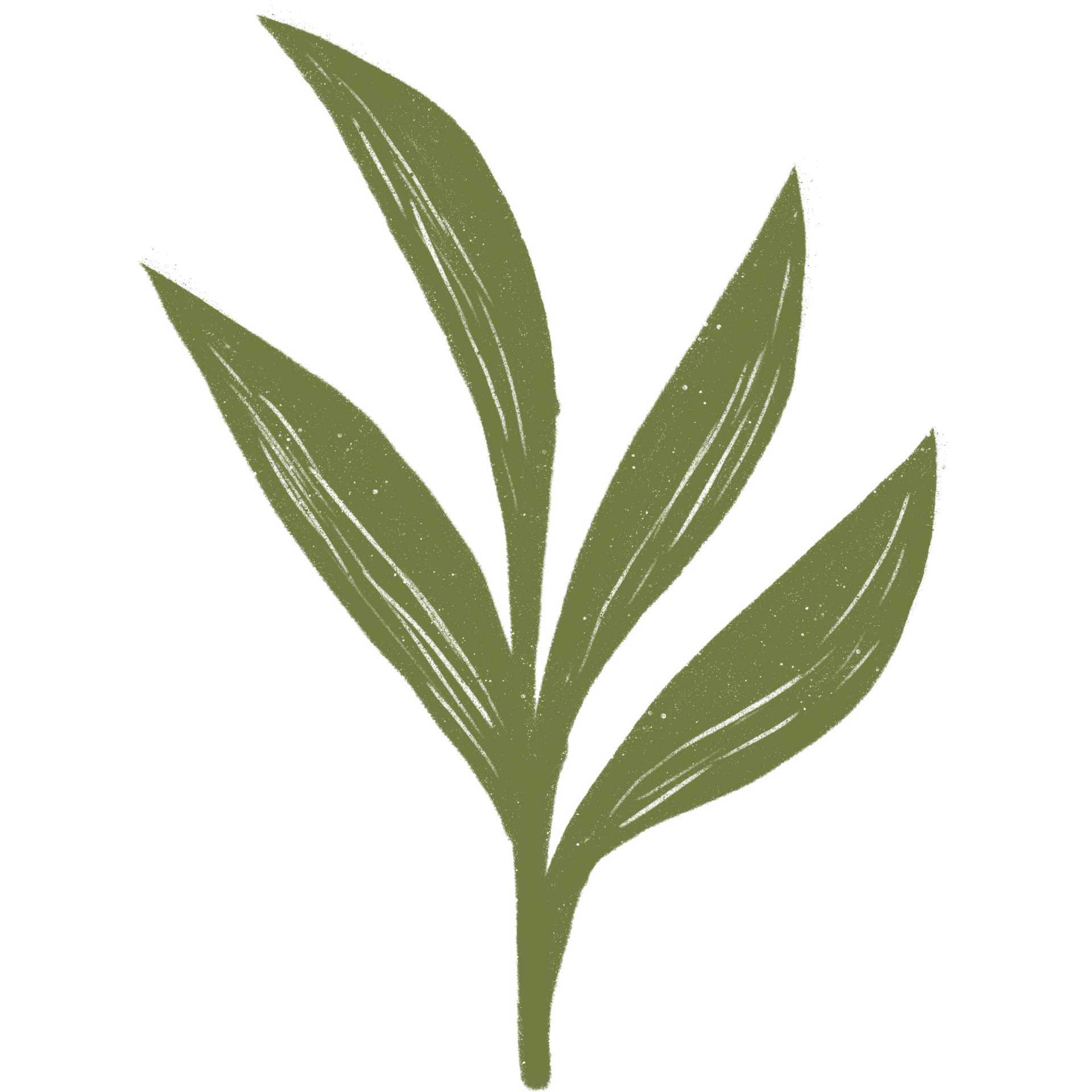 Aesthetic flower plant leaves 10869721 PNG Aesthetic flower plant leaves 10869721 PNG