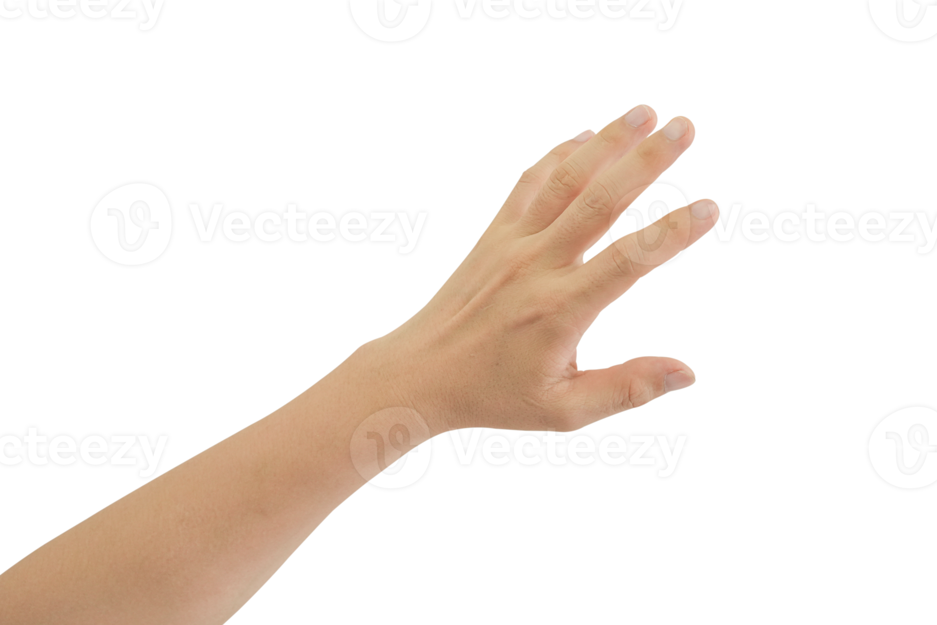 Man Hand Gesture Isolated 10870089 Png
