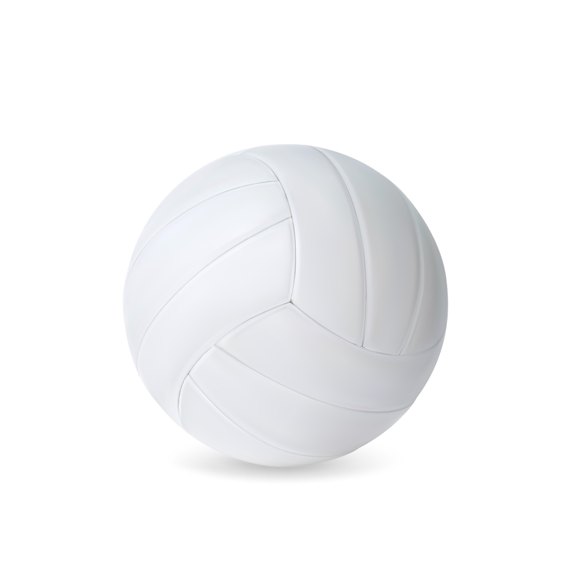 Realistic Volleyball Ball Vector Sports Accessory 10876302 Vector Art
