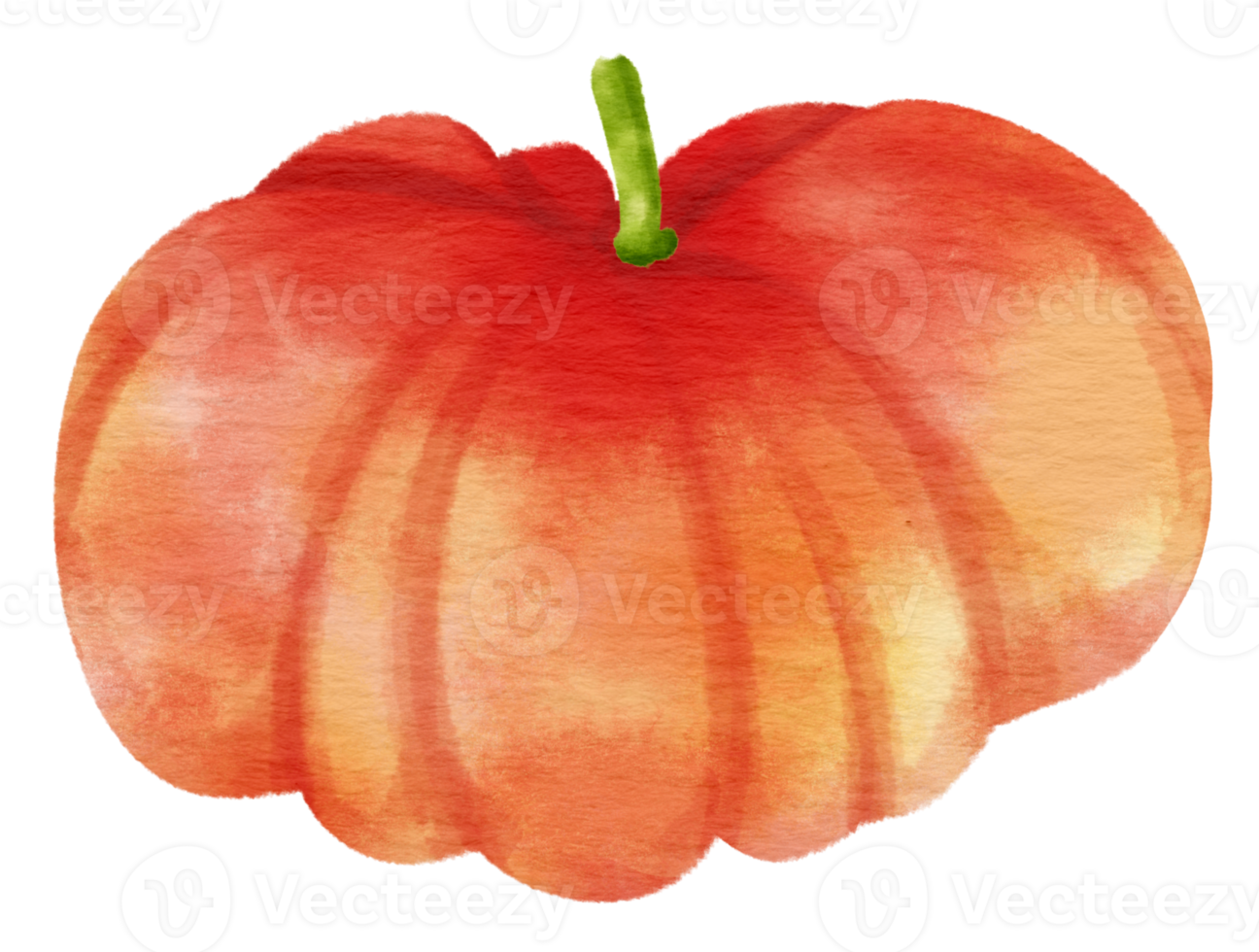 Red Tomato watercolor style for Thanksgiving Decorative Element ...