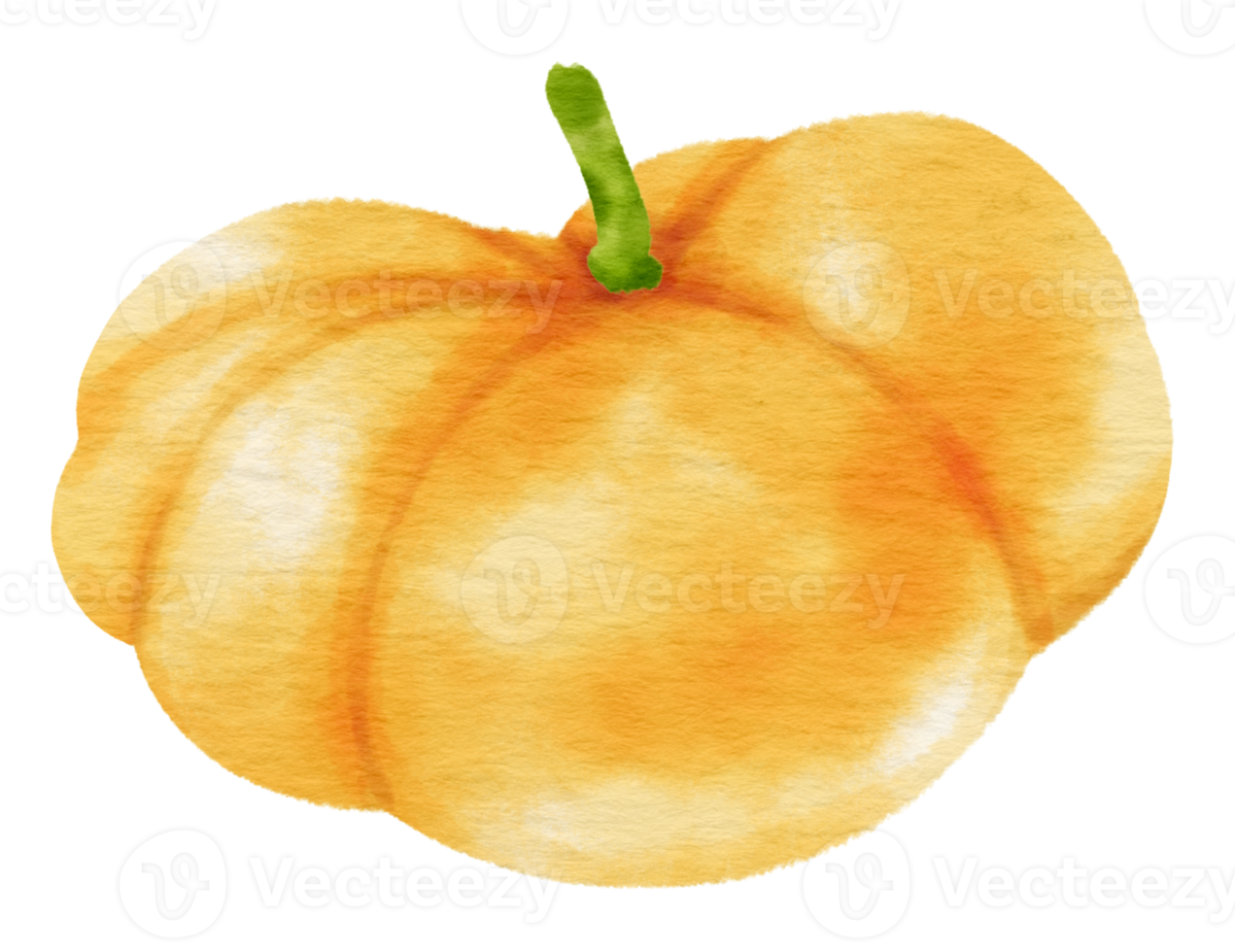 Yellow Tomato watercolor style for Thanksgiving Decorative Element ...