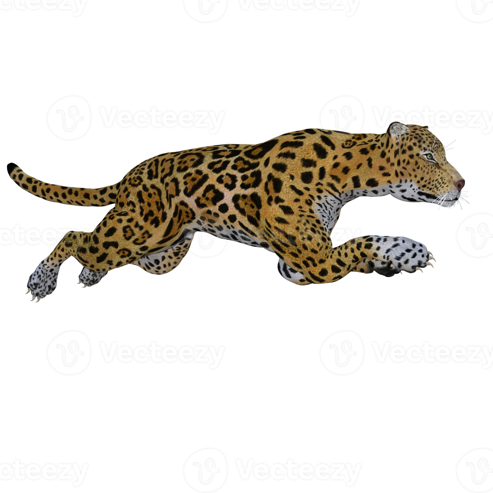 Jaguar 3d pose illustration model 10916855 PNG Jaguar 3d pose illustration model 10916855 PNG