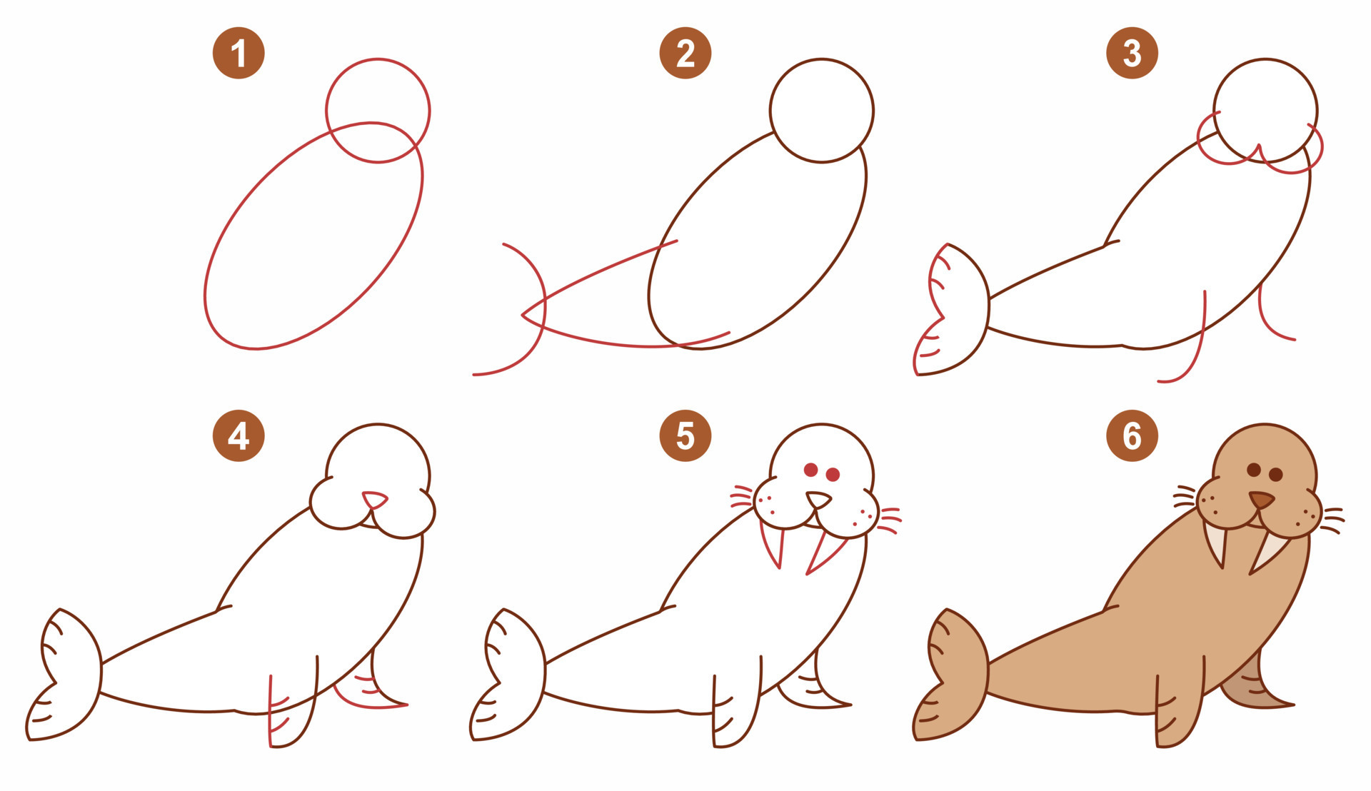 How To Draw A Sea Lion Step By Step For Kids