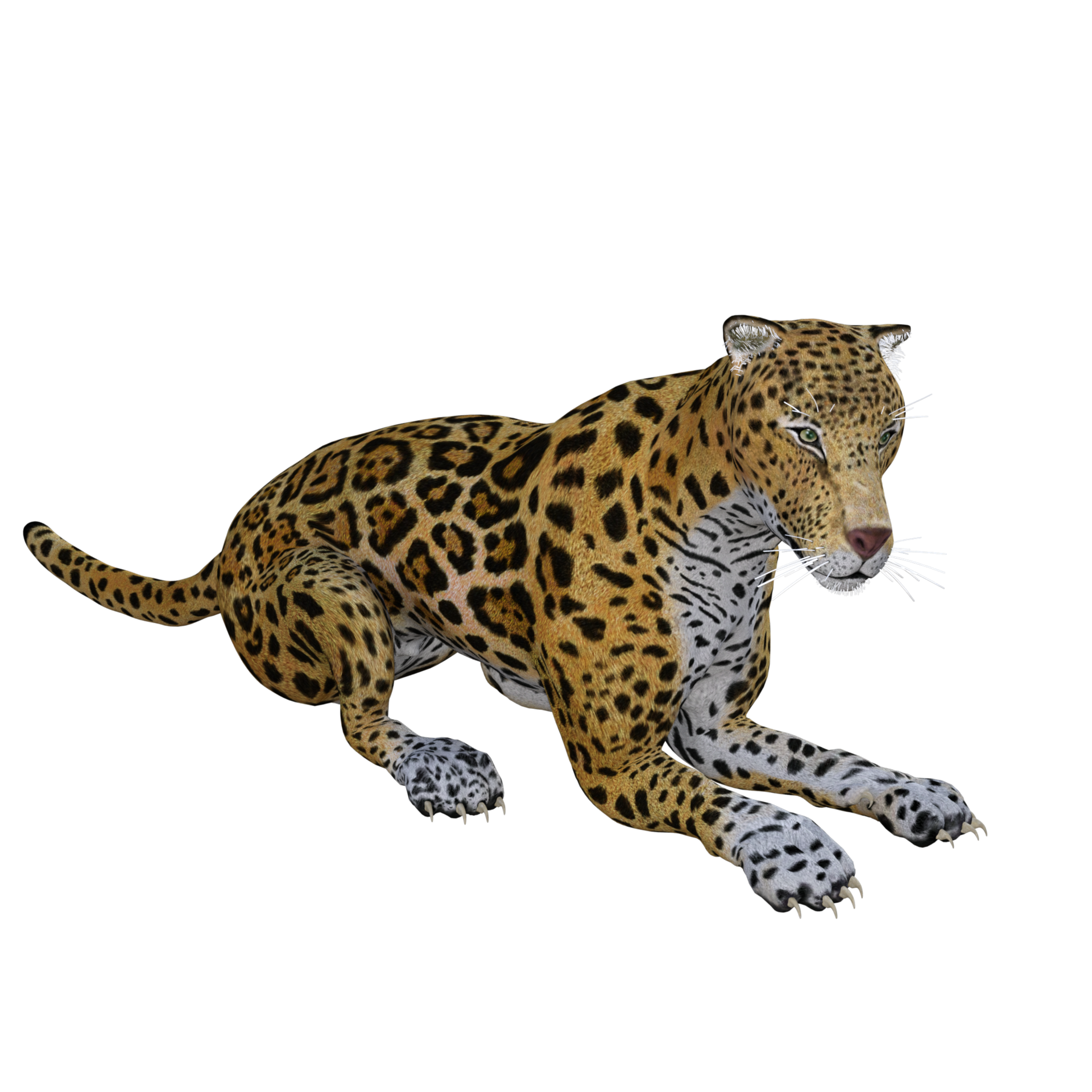 Jaguar 3d pose illustration model 10922352 PNG Jaguar 3d pose illustration model 10922352 PNG