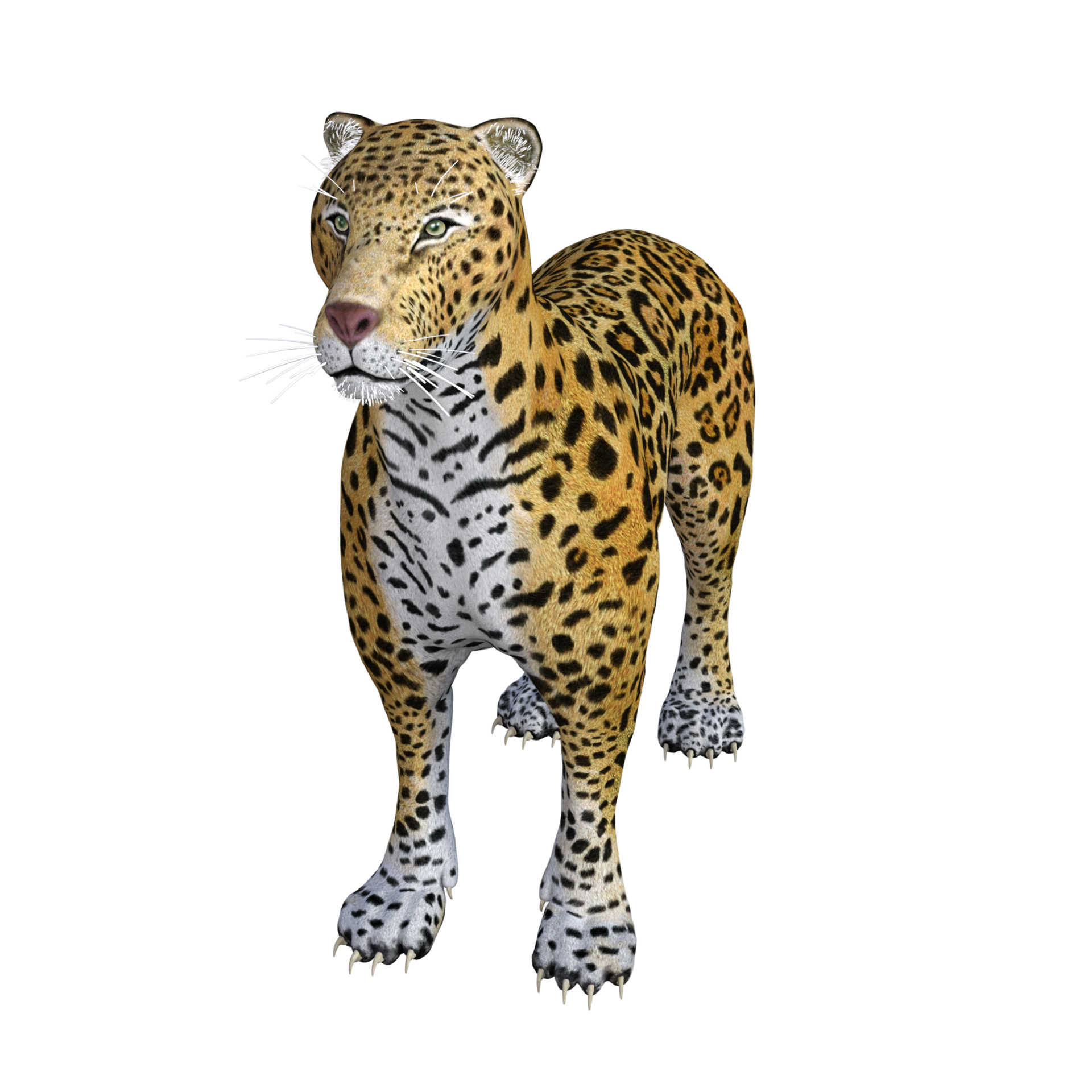 Jaguar 3d pose illustration model 10922381 PNG Jaguar 3d pose illustration model 10922381 PNG