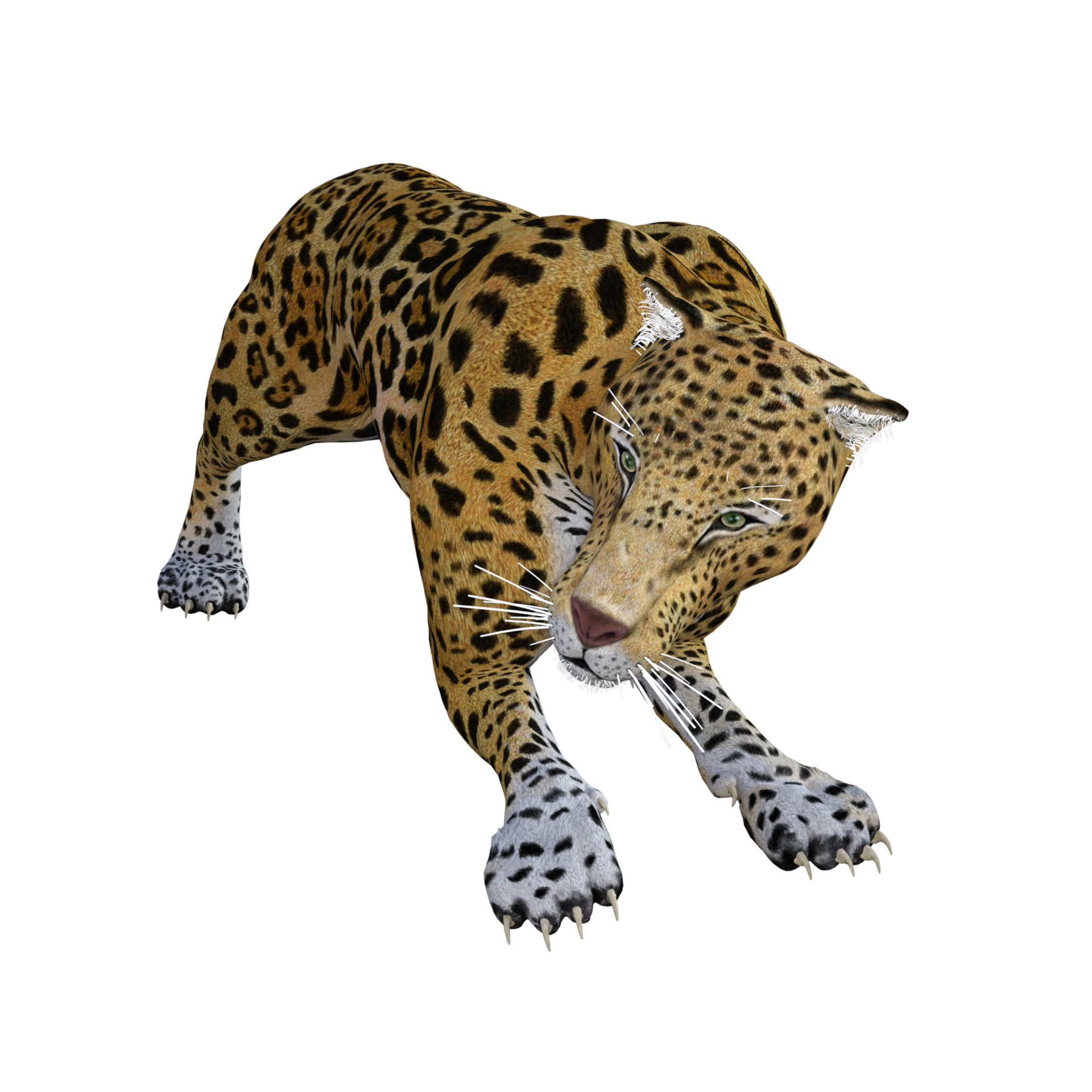 Jaguar 3d pose illustration model 10922383 PNG Jaguar 3d pose illustration model 10922383 PNG