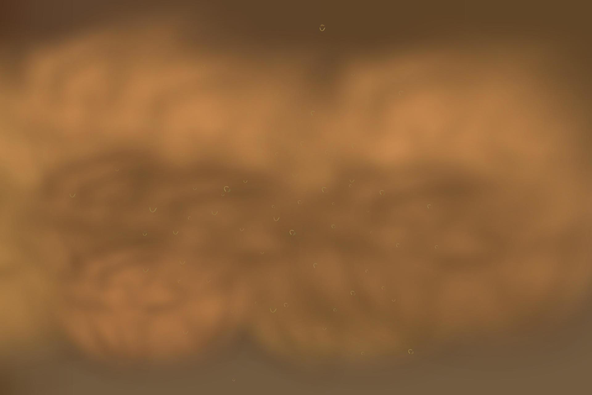 Background of a cloud of brown dust and sand with particles of flying dry sand and dirt ...