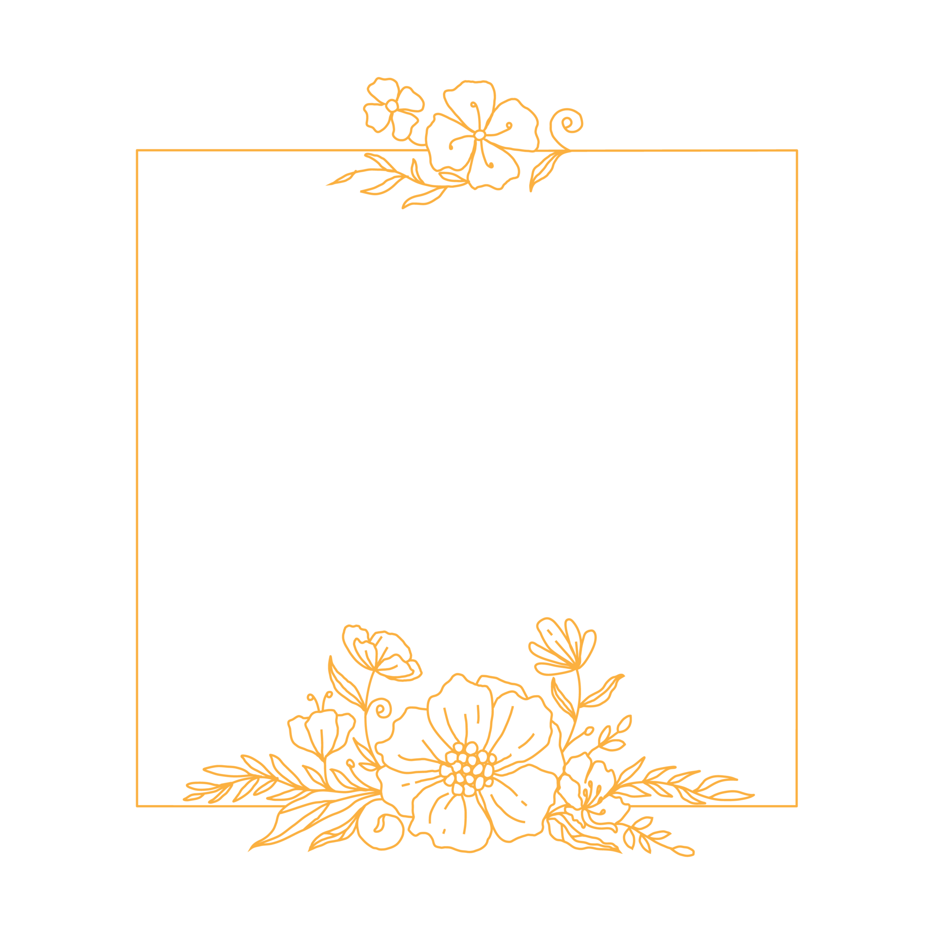 Minimalist Floral Frame 10946241 Png