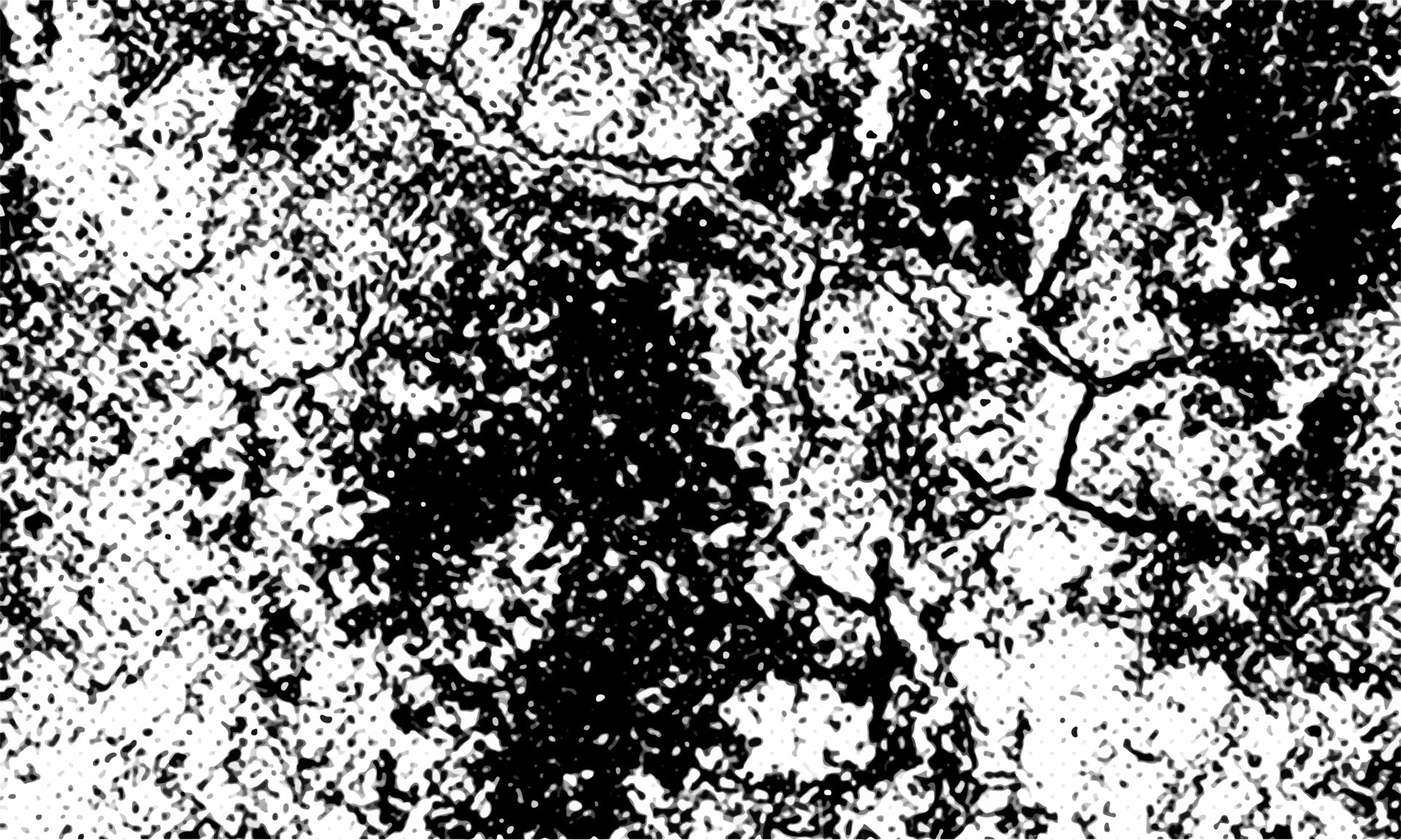 Grunge distressed dust particle white and black. Abstract overlay white background. 10946456 ...