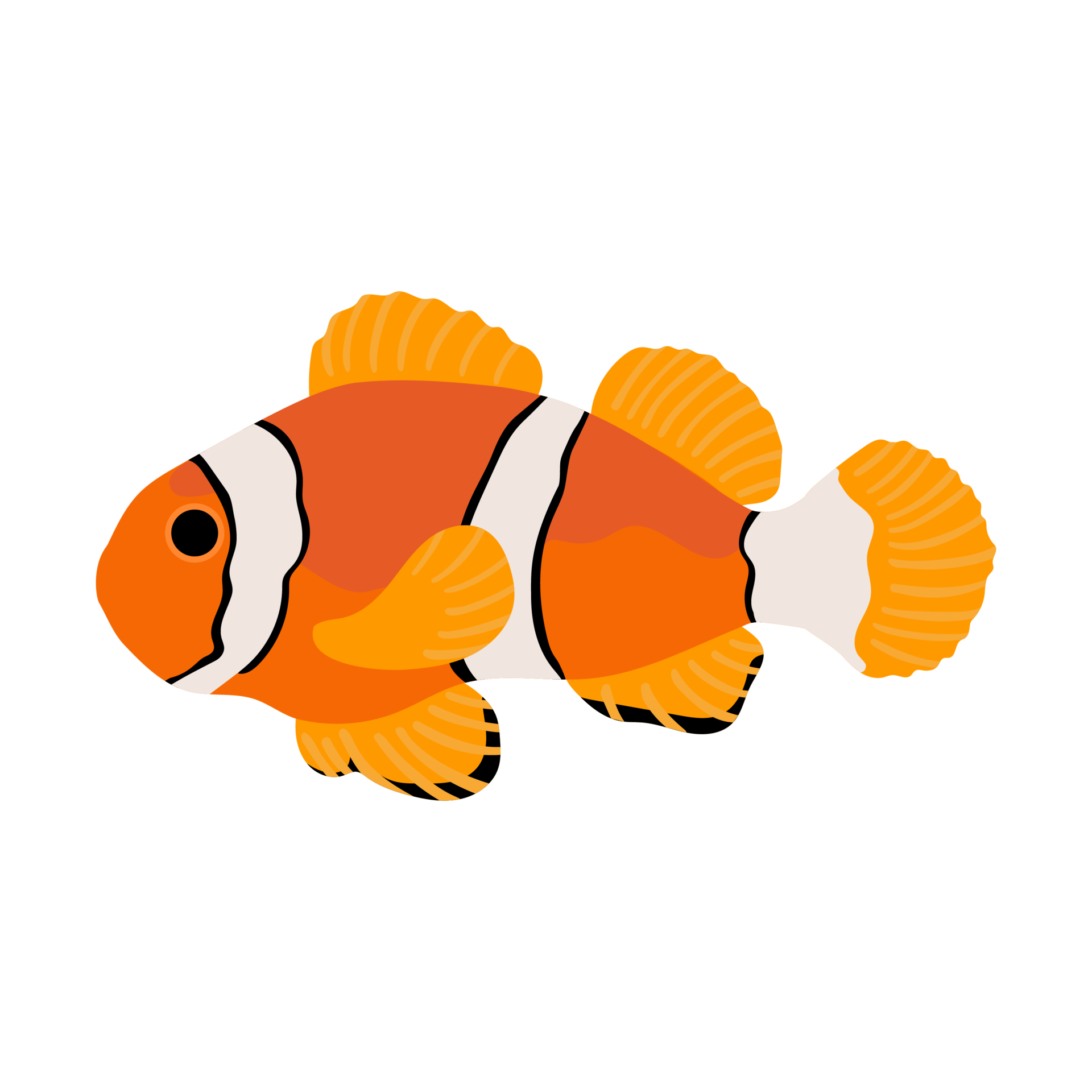 orange clown fish. collection set of coral fish illustration. the hand ... orange clown fish. collection set of coral fish illustration. the hand ...