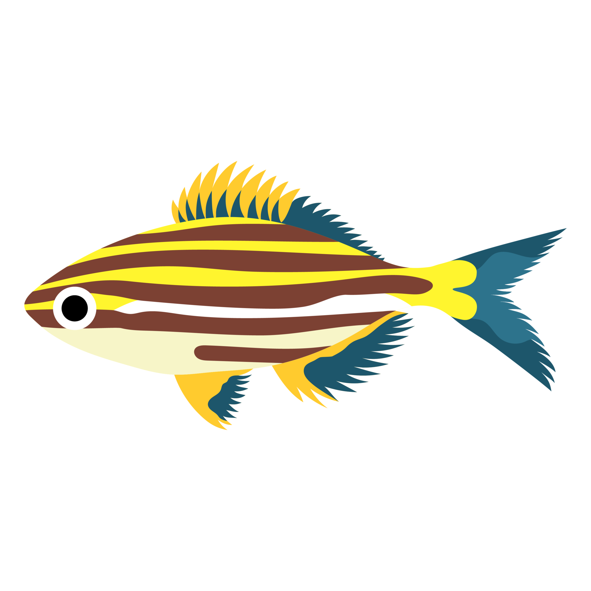microcanthinae or footballer fish. collection set of coral fish ... microcanthinae or footballer fish. collection set of coral fish ...