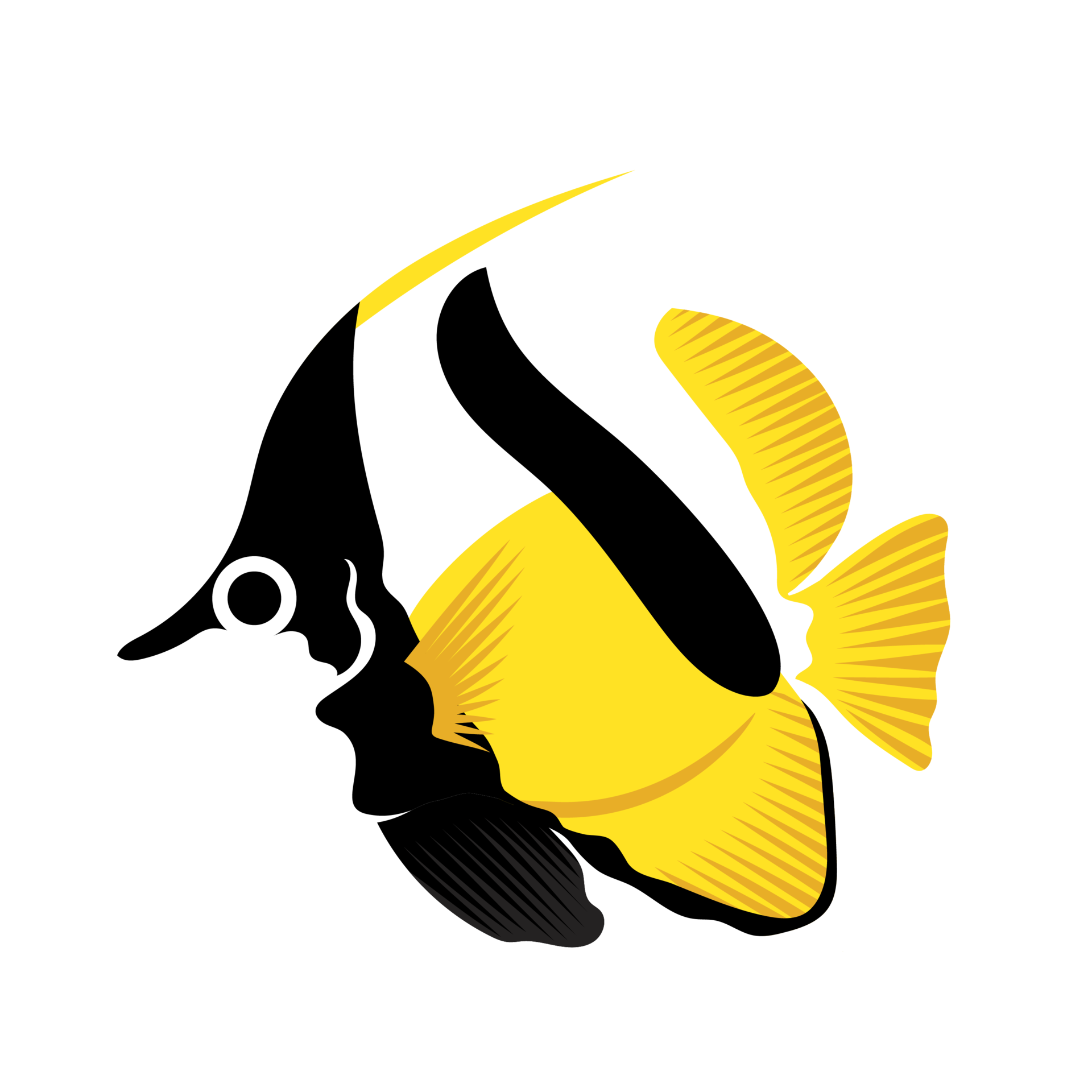 longfin bannerfish or pennant coralfish. collection set of coral fish ... longfin bannerfish or pennant coralfish. collection set of coral fish ...
